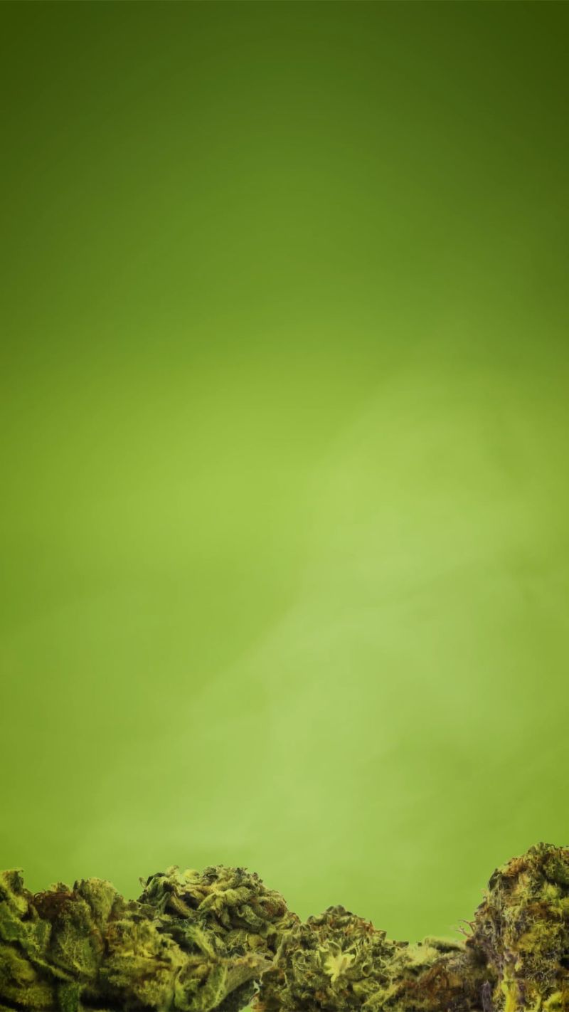 Smoking Weed Videos, Download The BEST Free 4k Stock Video Footage ...