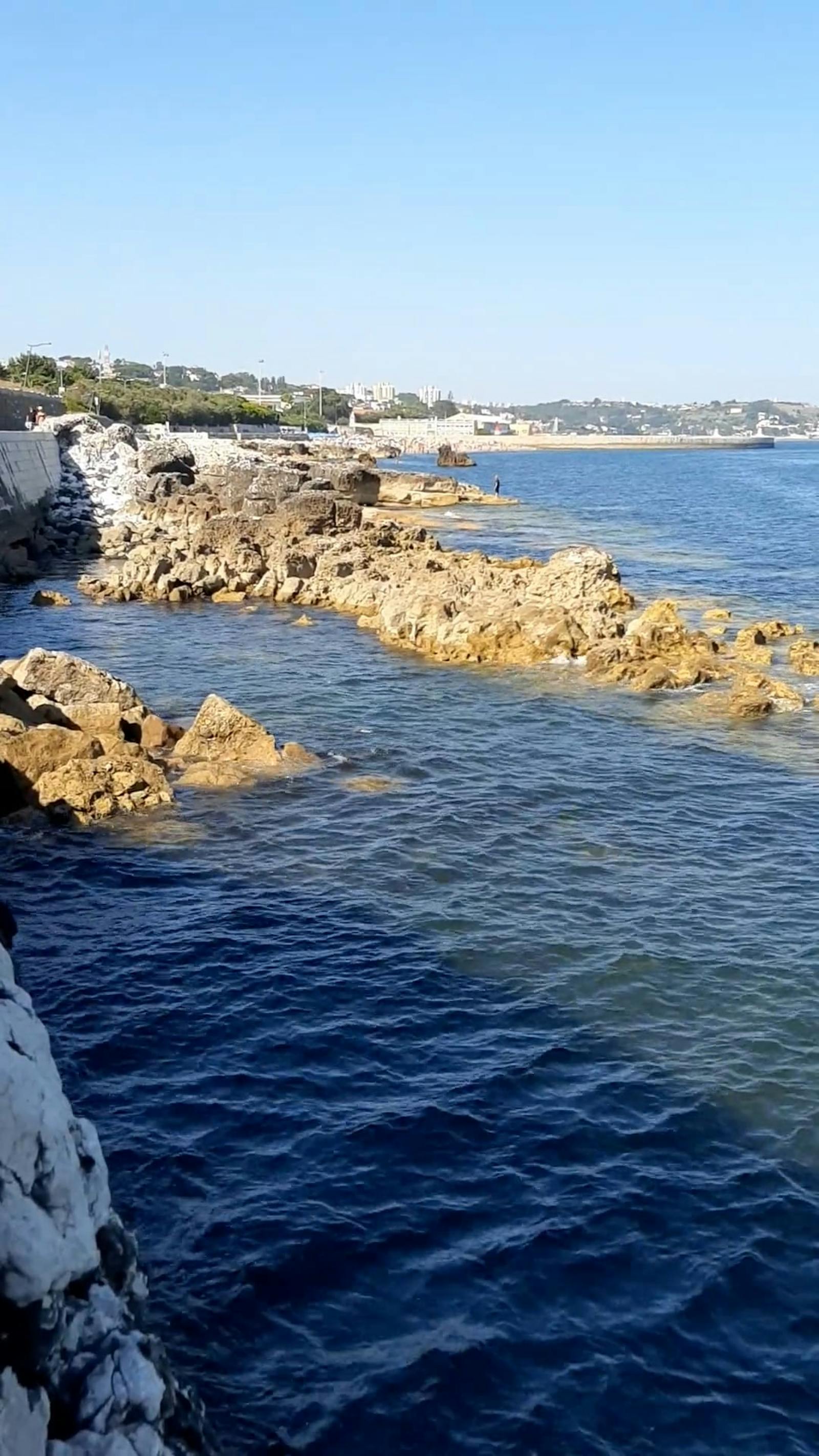 High Tide Videos, Download The BEST Free 4k Stock Video Footage & High ...