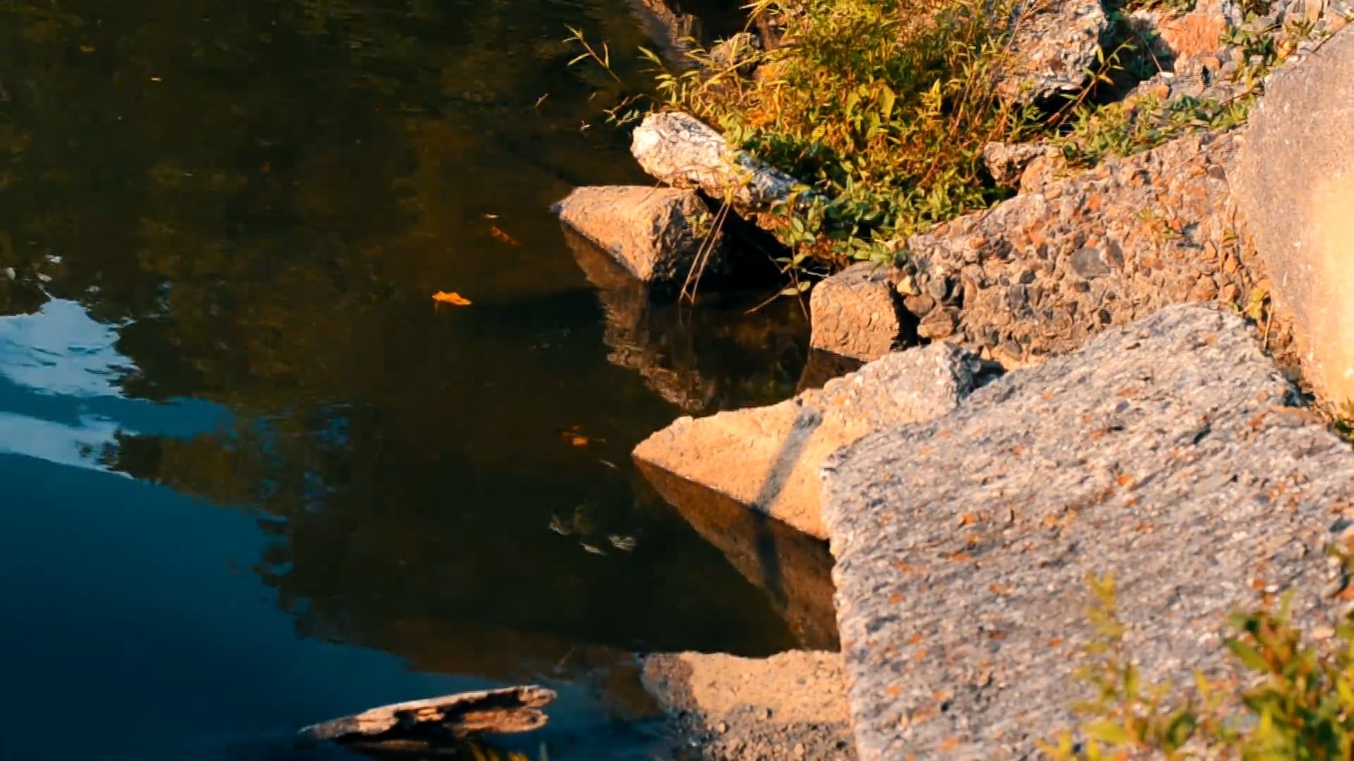 River Edges Videos, Download The BEST Free 4k Stock Video Footage ...