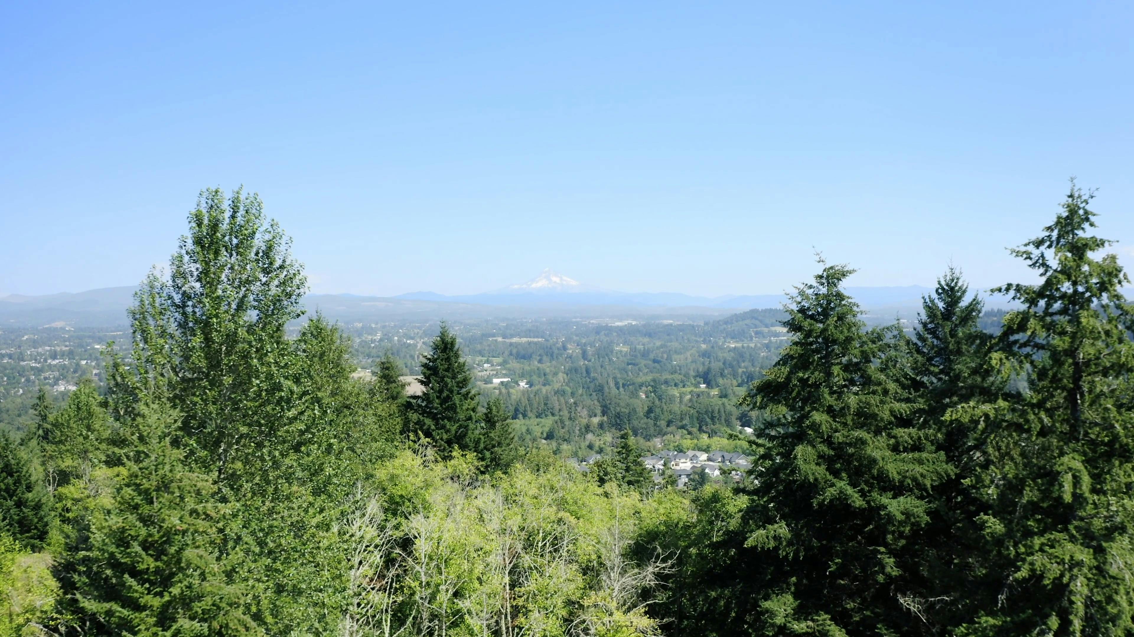 Drone Footage of the Countryside · Free Stock Video