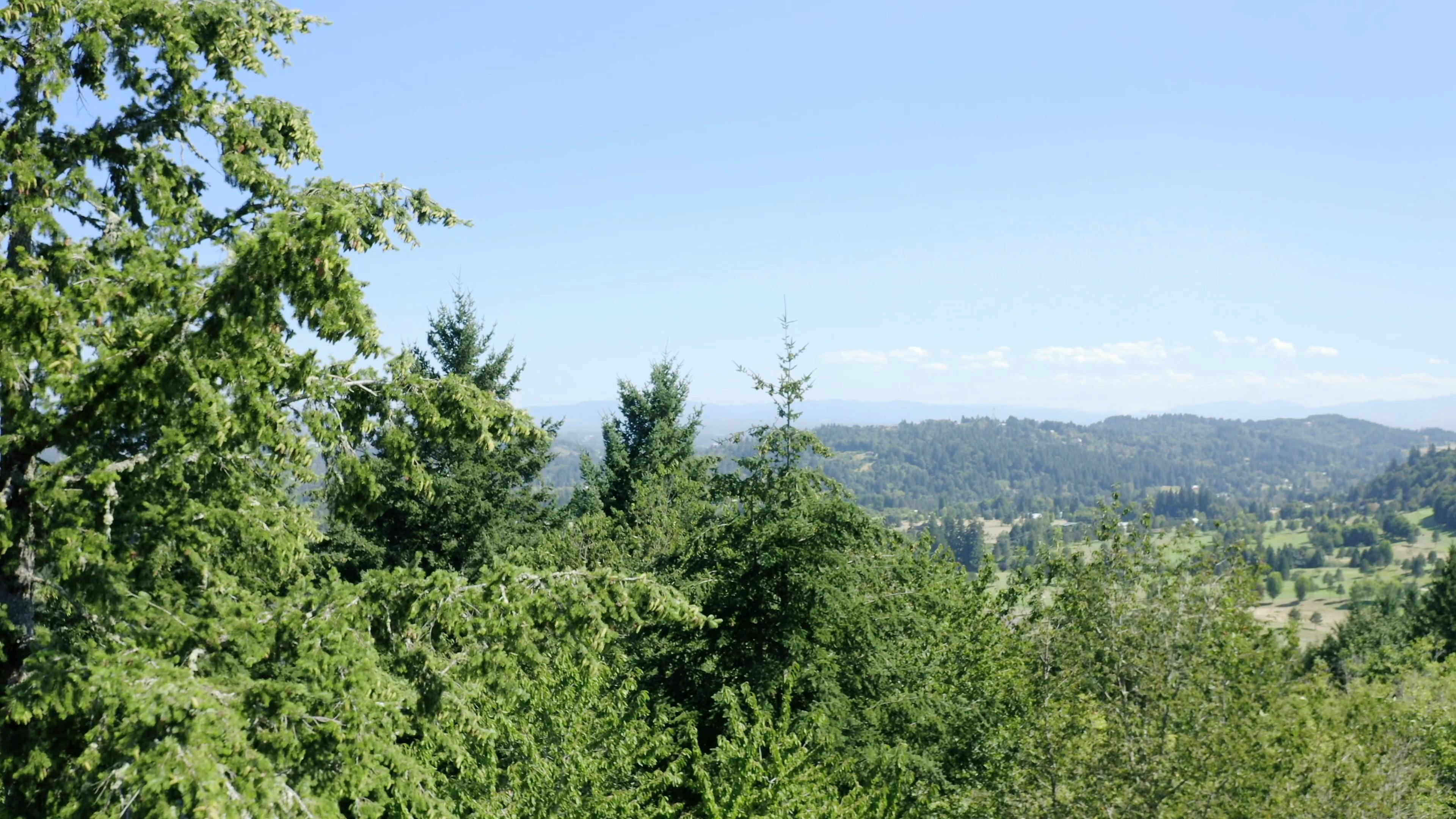 Aerial View Of A Forest Landscape Free Stock Video Footage, Royalty ...