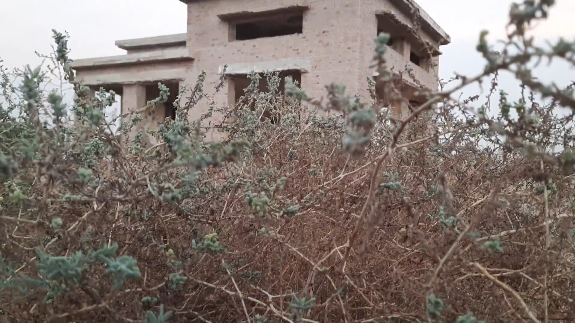 Broken Bush Videos, Download The BEST Free 4k Stock Video Footage ...