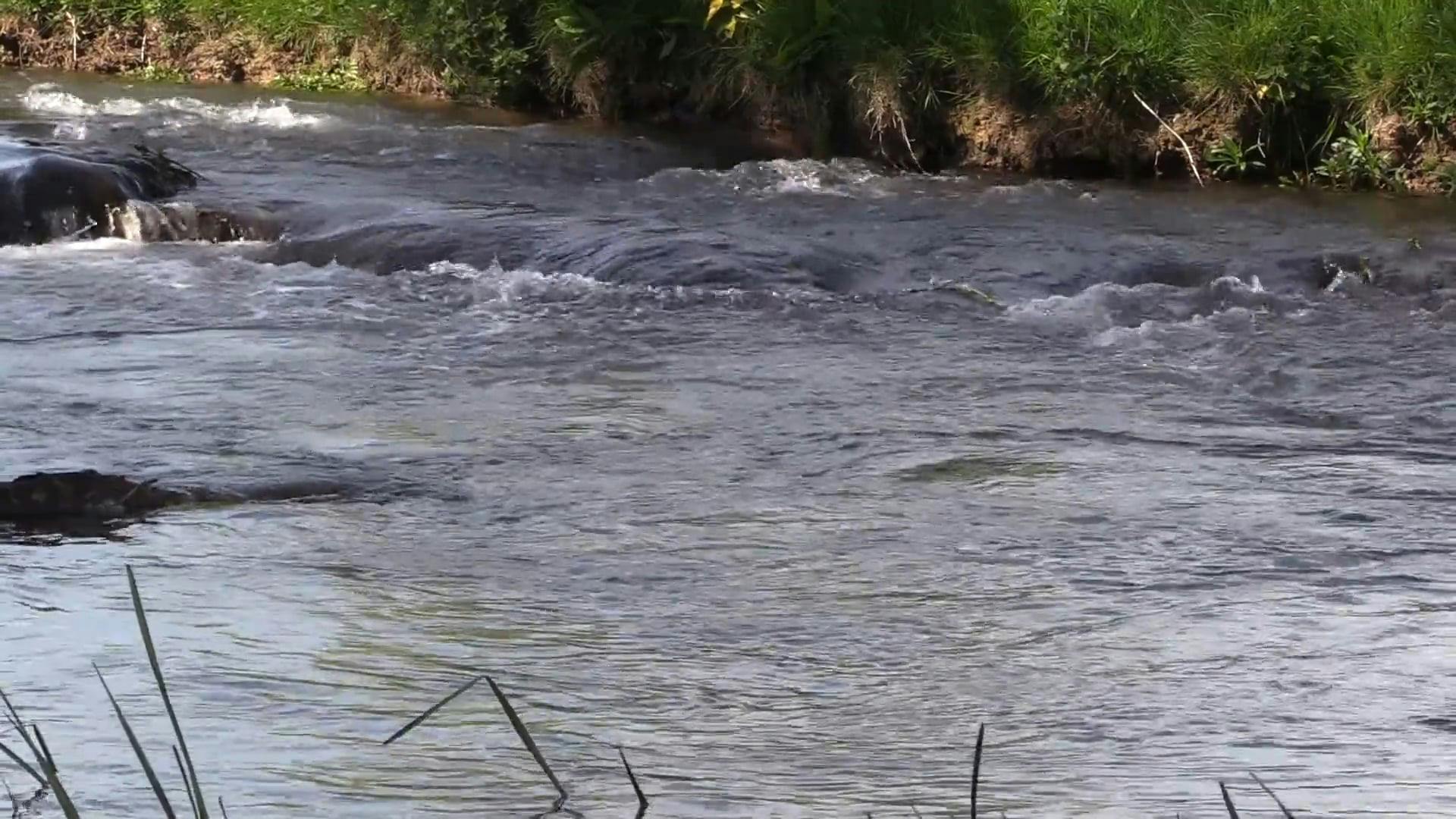 Water Falls Cascading down On Rocks In The River · Free Stock Video