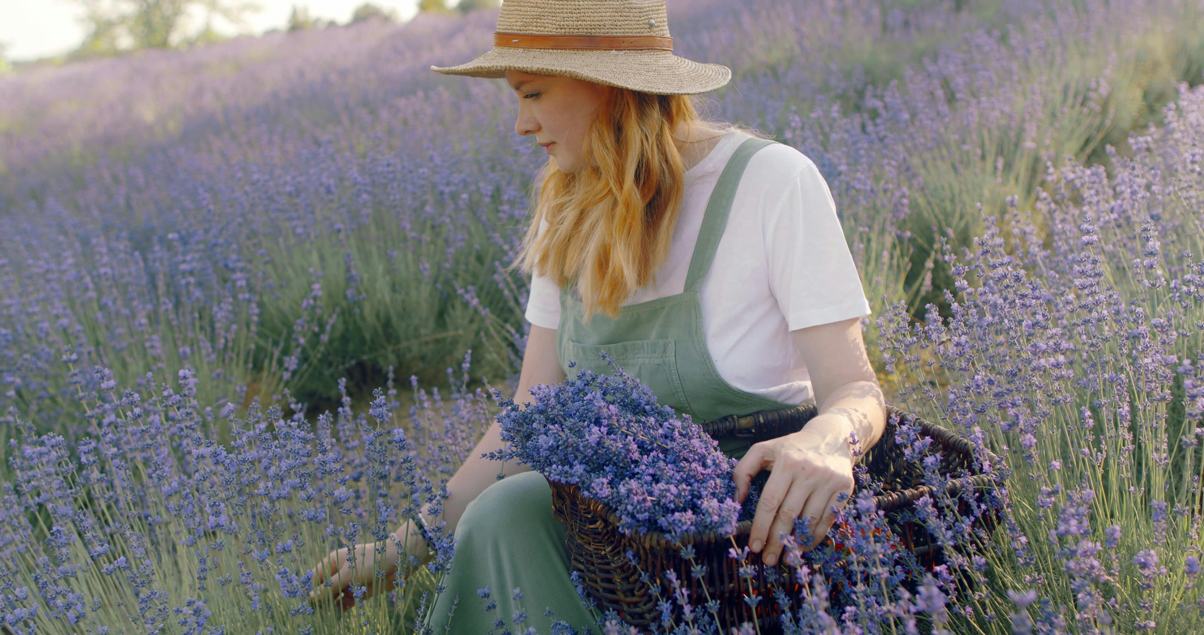 Violet Model Videos, Download The BEST Free 4k Stock Video Footage ...