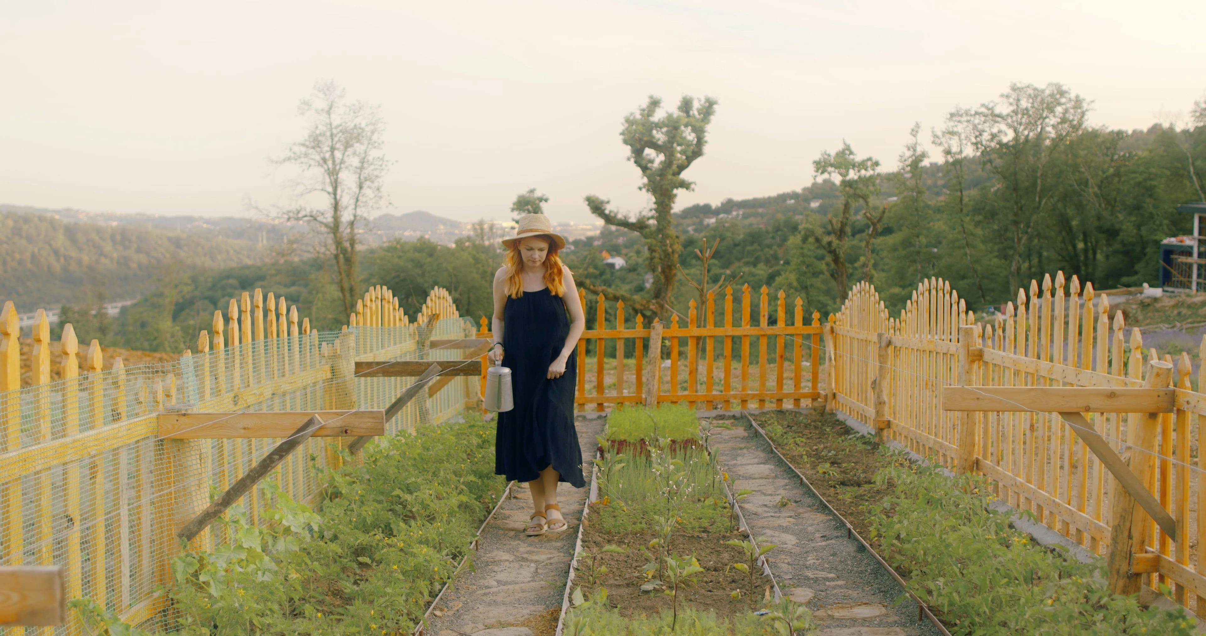 Wire House Videos, Download The BEST Free 4k Stock Video Footage & Wire ...