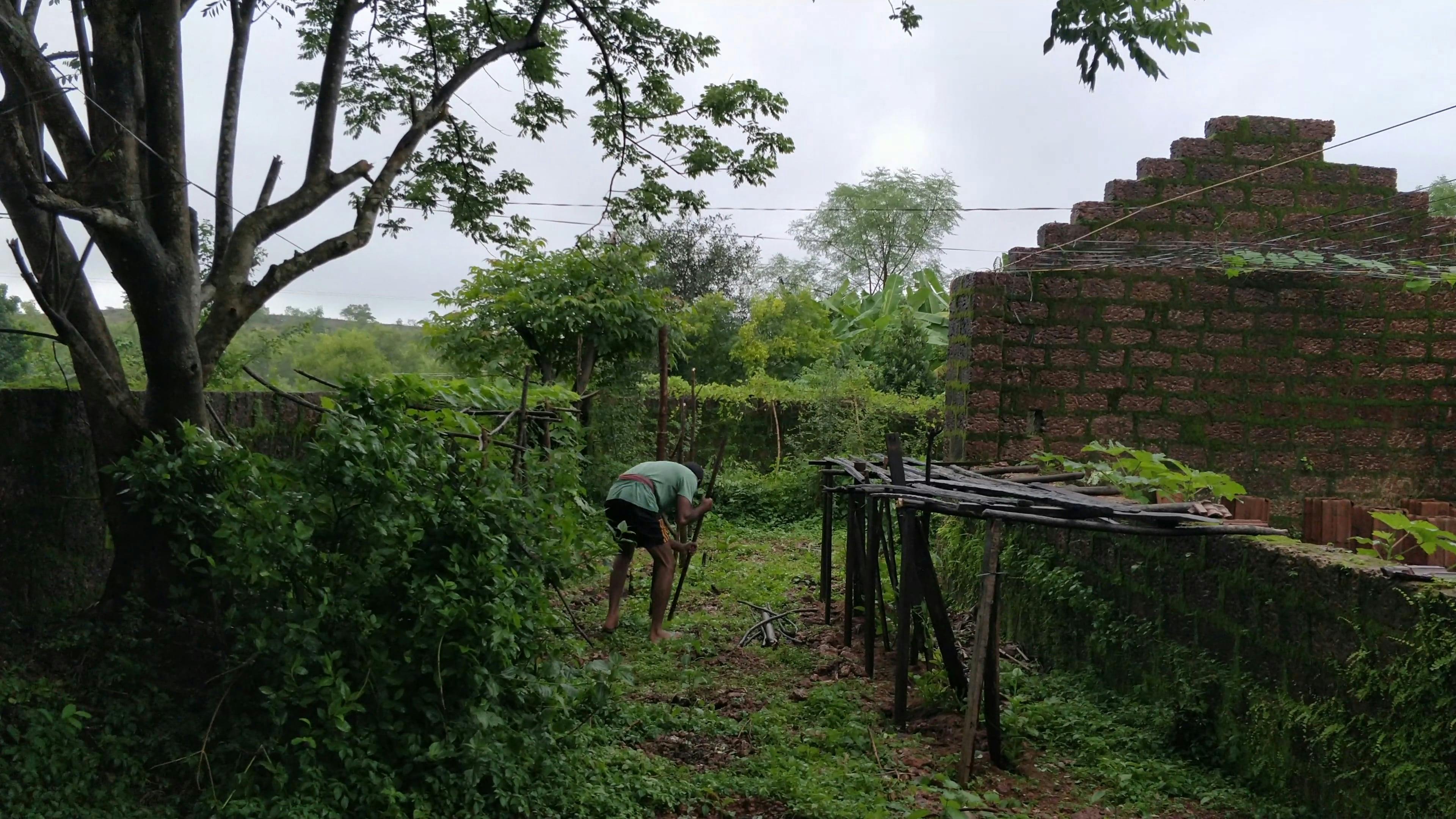 A Man Teaching Farmers New Farming Method Free Stock Video Footage ...