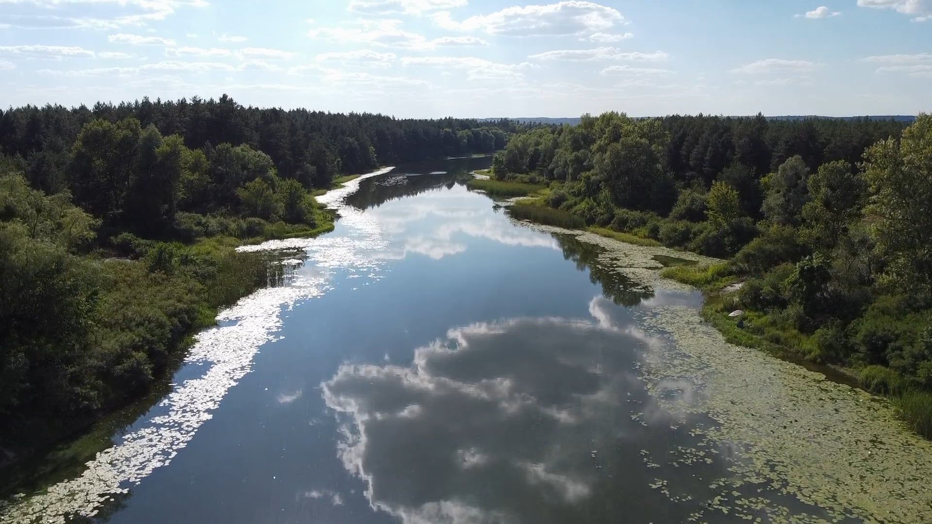 Drone Shot of a River Flowing Between Dense Forest Free Stock Video ...
