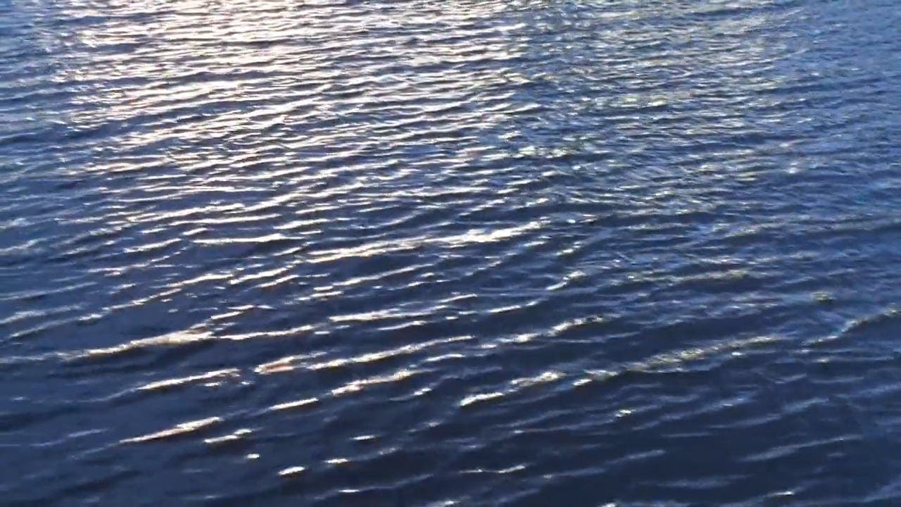 Water Ripples on Lake · Free Stock Video