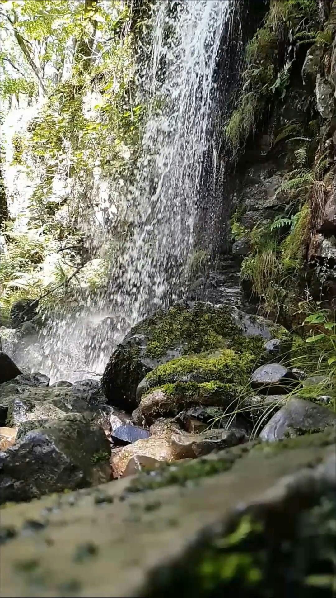 A Stunning Waterfall in the Forest · Free Stock Video