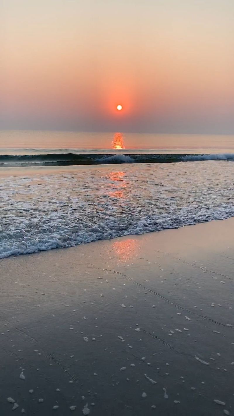 Sunset Beach Videos, Download The BEST Free 4k Stock Video Footage ...