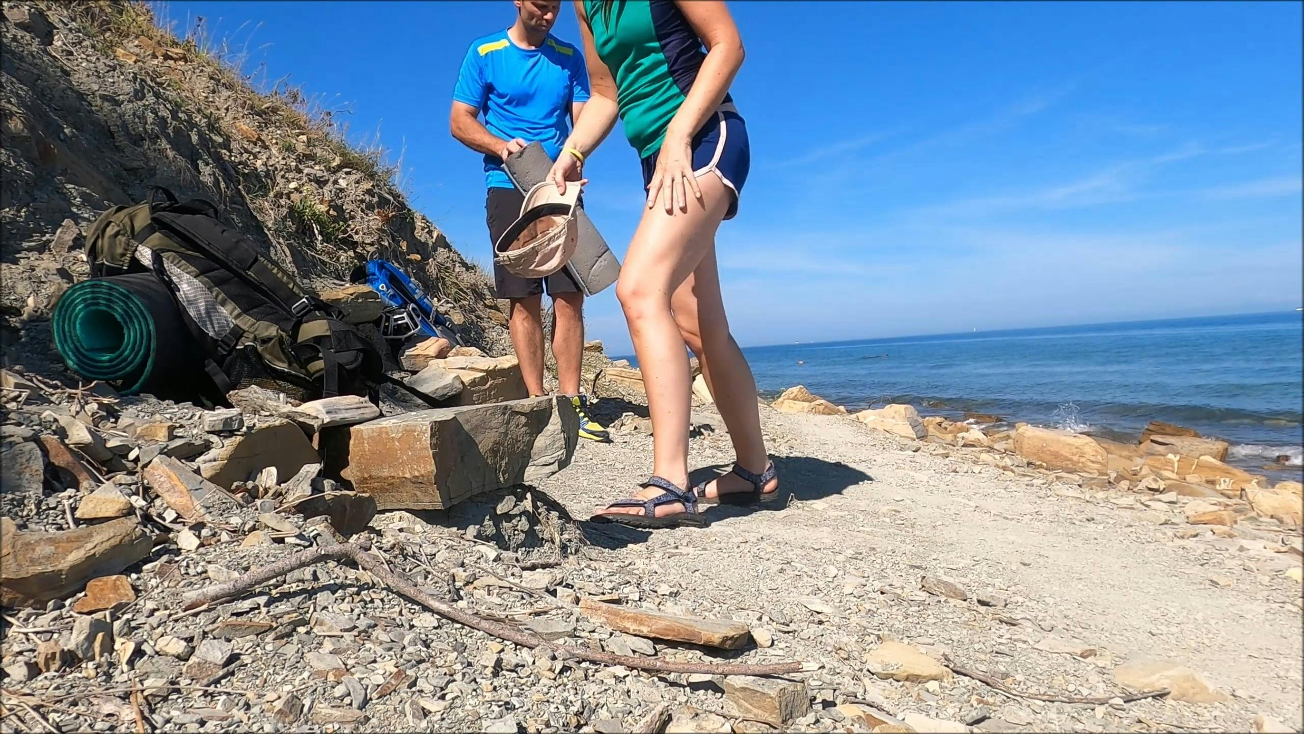 Sea Shells On Shore · Free Stock Video