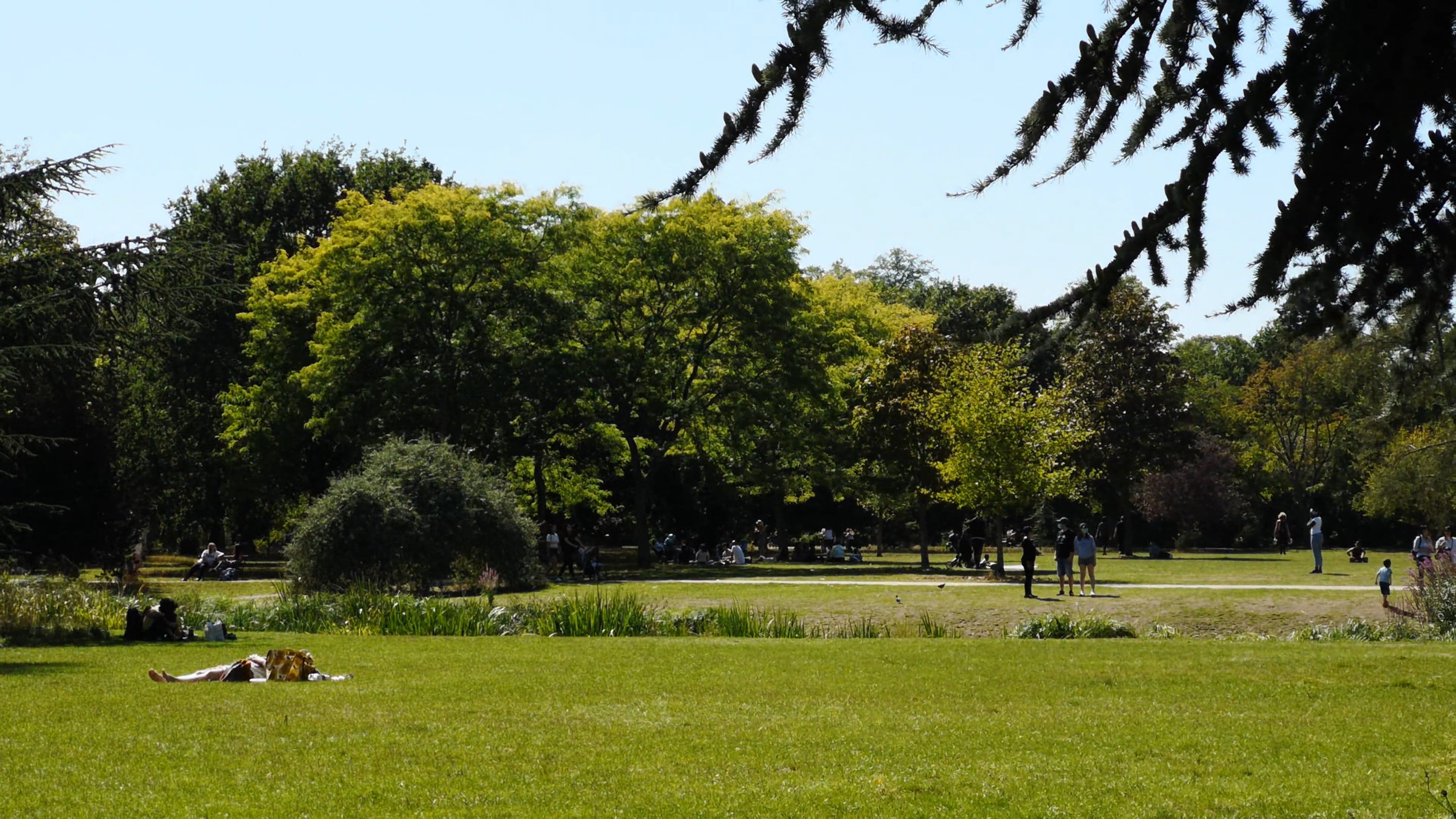 Wide Angle Shot of People in a Green Park Free Stock Video Footage ...