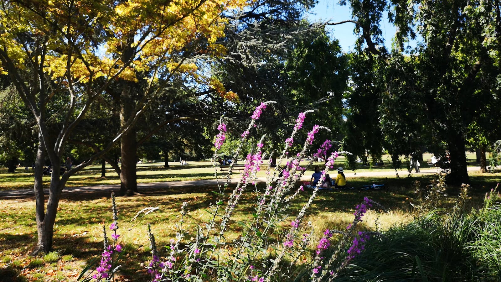 Free Video Download Videos, Download The BEST Free 4k Stock Video ...