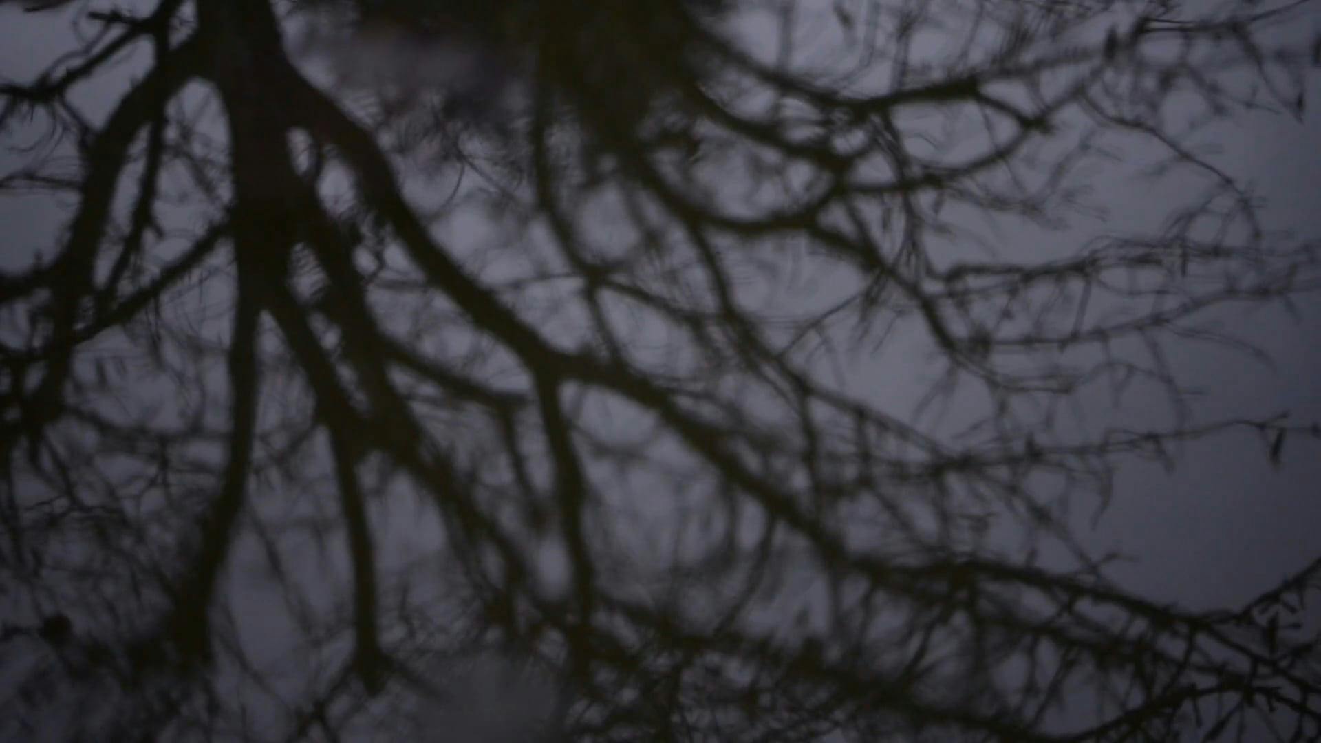 After Effects Templates Videos, Download The BEST Free 4k Stock Video ...