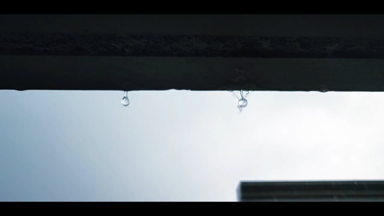 Ashutosh Vyas - 攝影