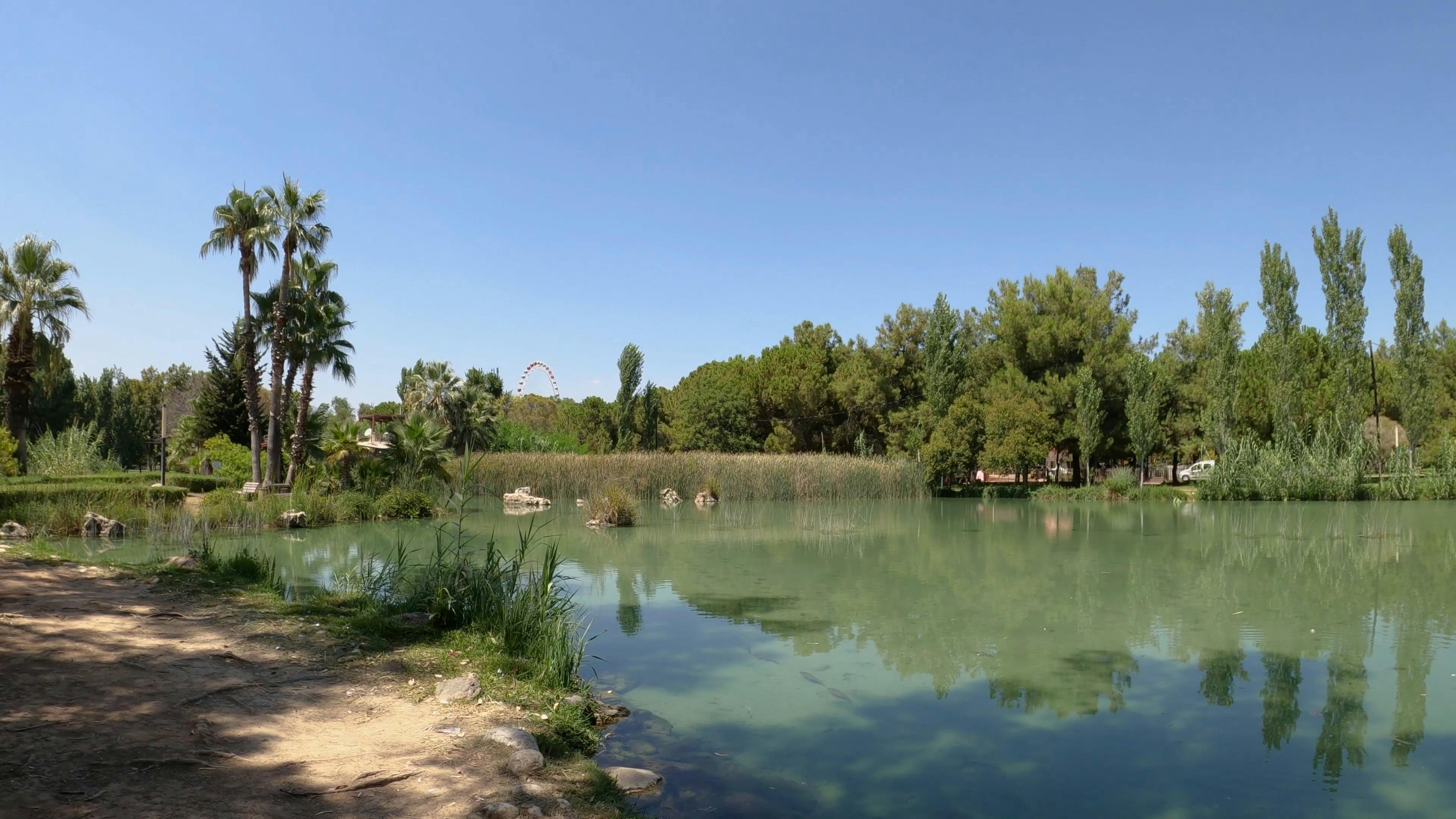 Beautiful Scenery of Calm Lake During Daytime Free Stock Video Footage ...