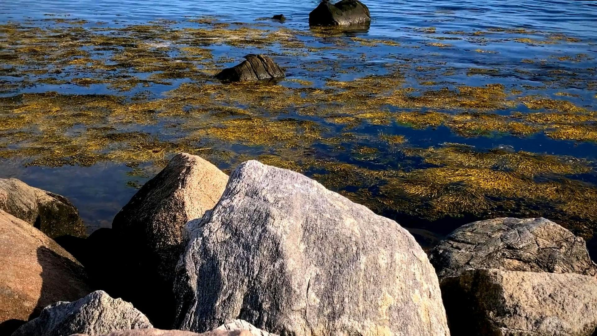 The Ocean View From The Shore Free Stock Video Footage, Royalty-Free 4K ...