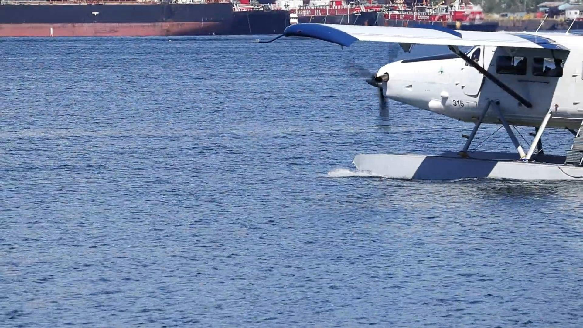 Passengers Getting off a Seaplane on a Floating Platform Free Stock ...