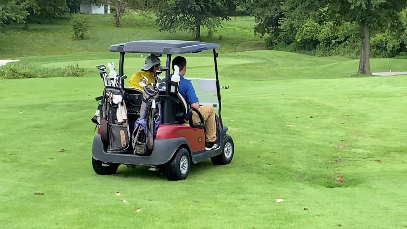 700+ Best Golf Videos · 100% Free Download · Pexels Stock Videos