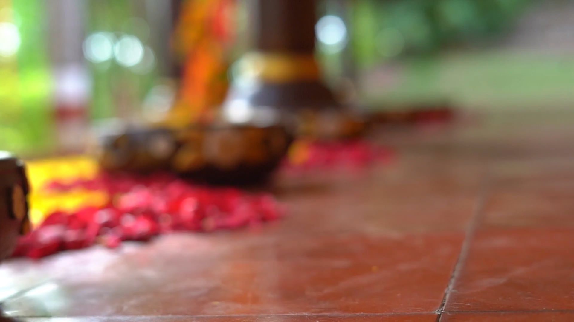 A Close-Up Video of Floating Roses Free Stock Video Footage, Royalty ...