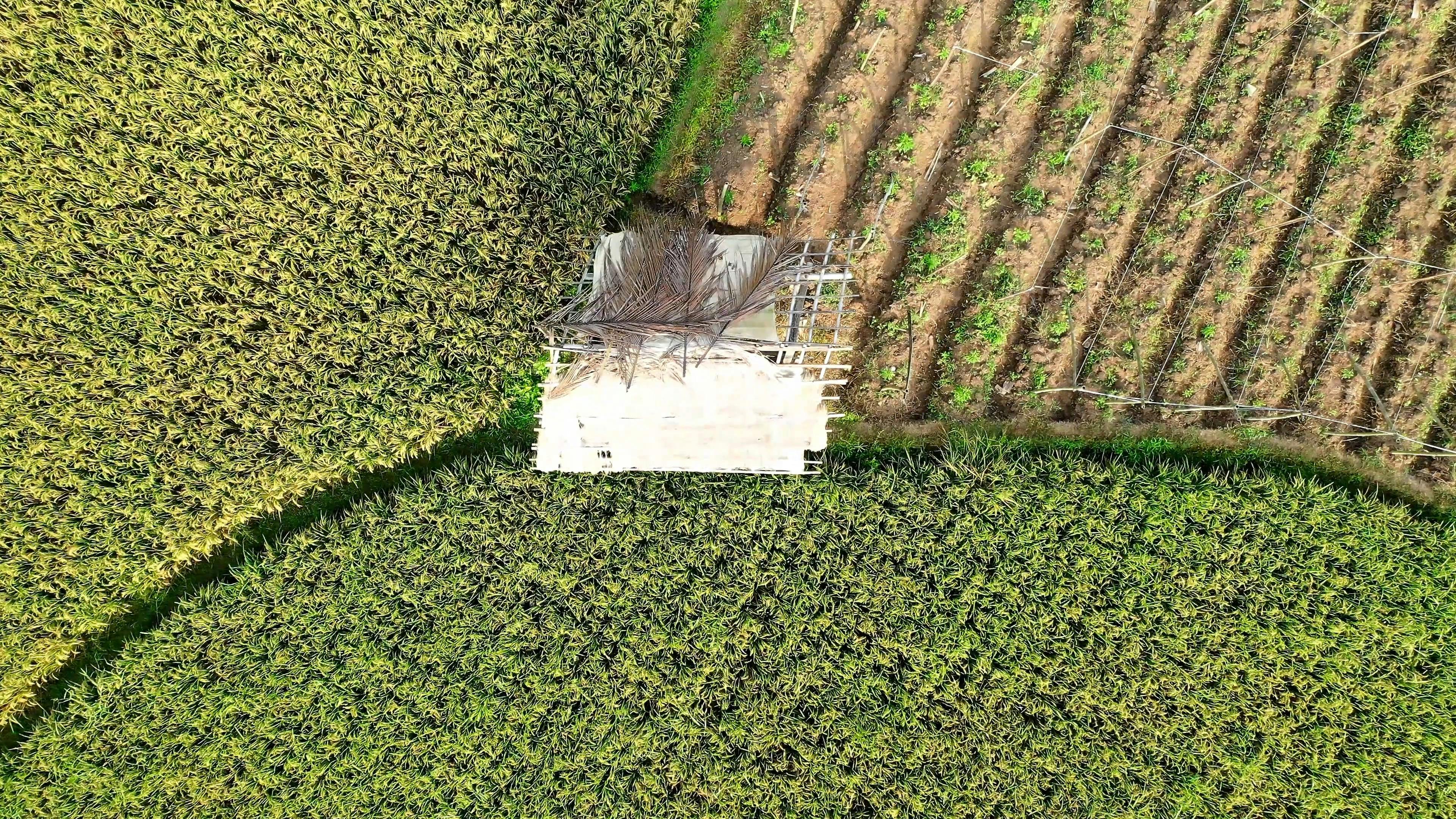 Overview Of A Farmland Free Stock Video Footage, Royalty-Free 4K & HD ...