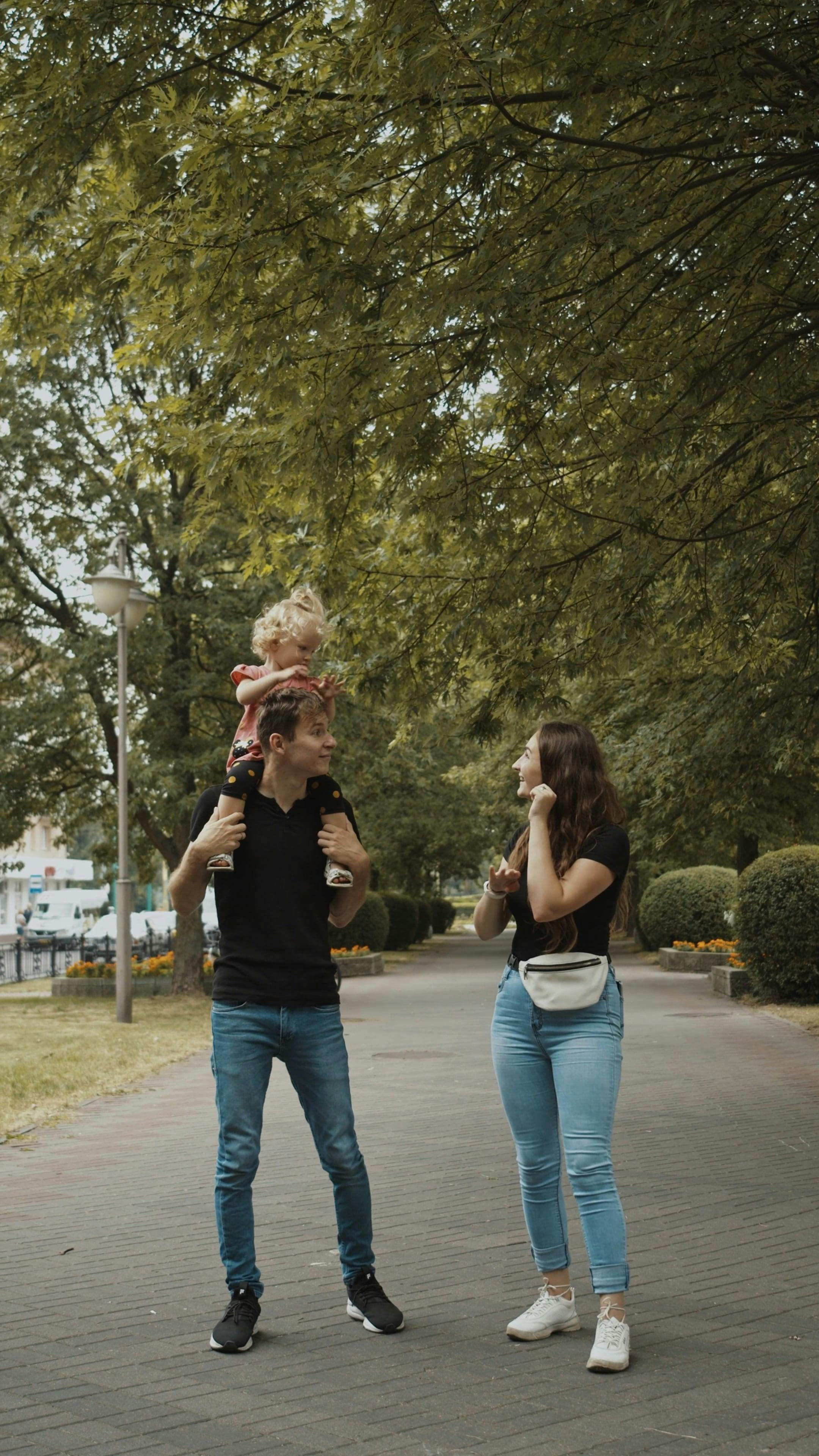 Germanic Language Tree Diagram Videos, Download The BEST Free 4k Stock ...