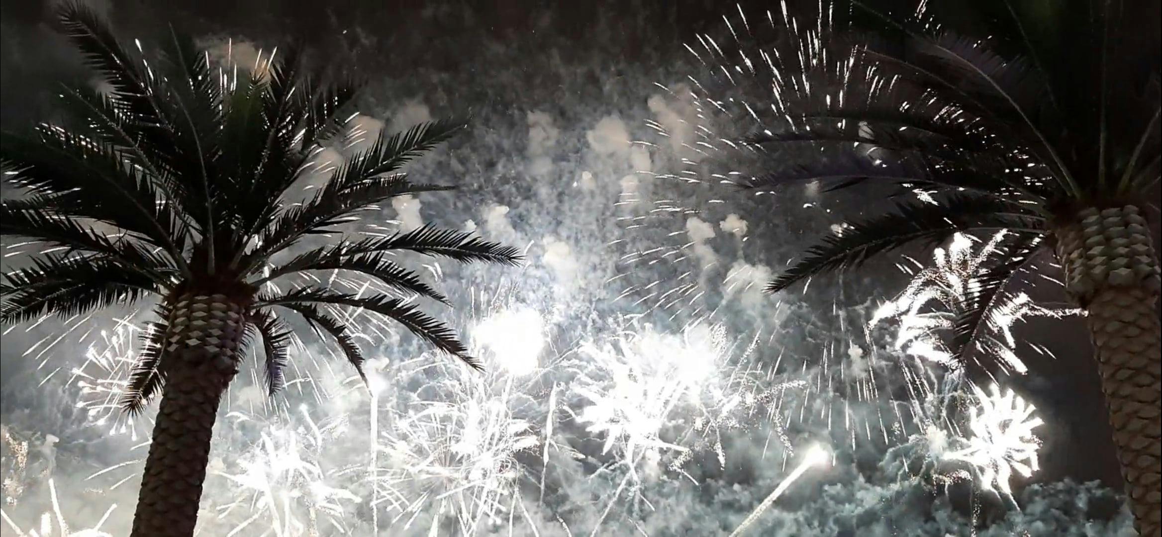 Bright Fireworks Display in the Night Sky Free Stock Video Footage ...