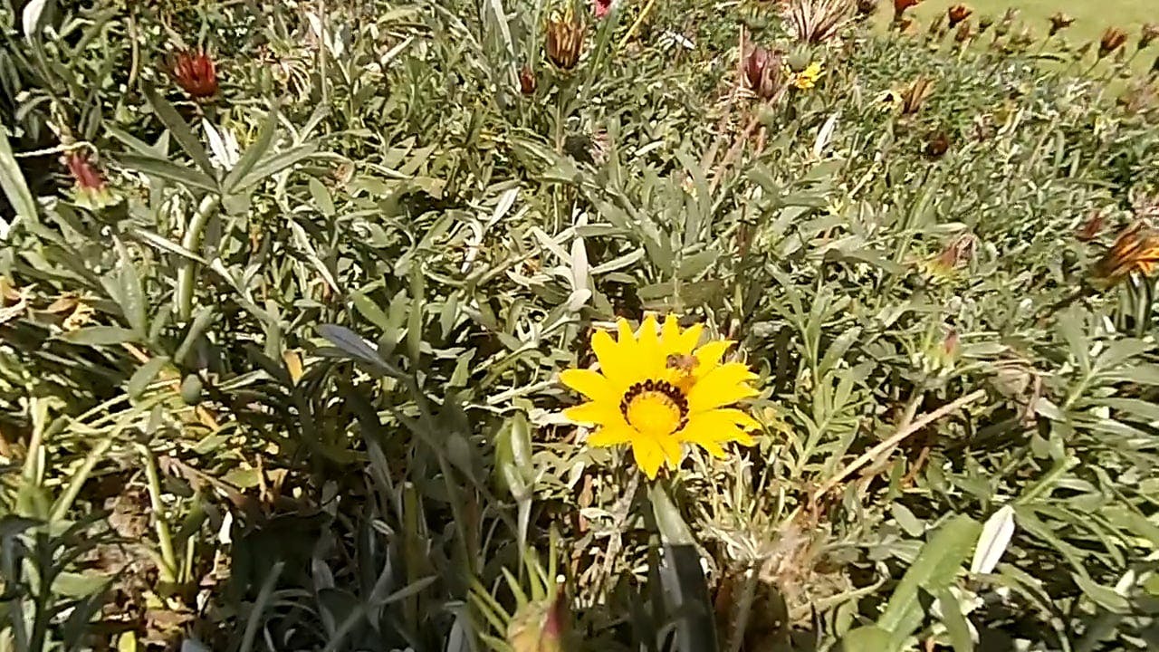 Hot Spring Colors Videos, Download The BEST Free 4k Stock Video Footage ...