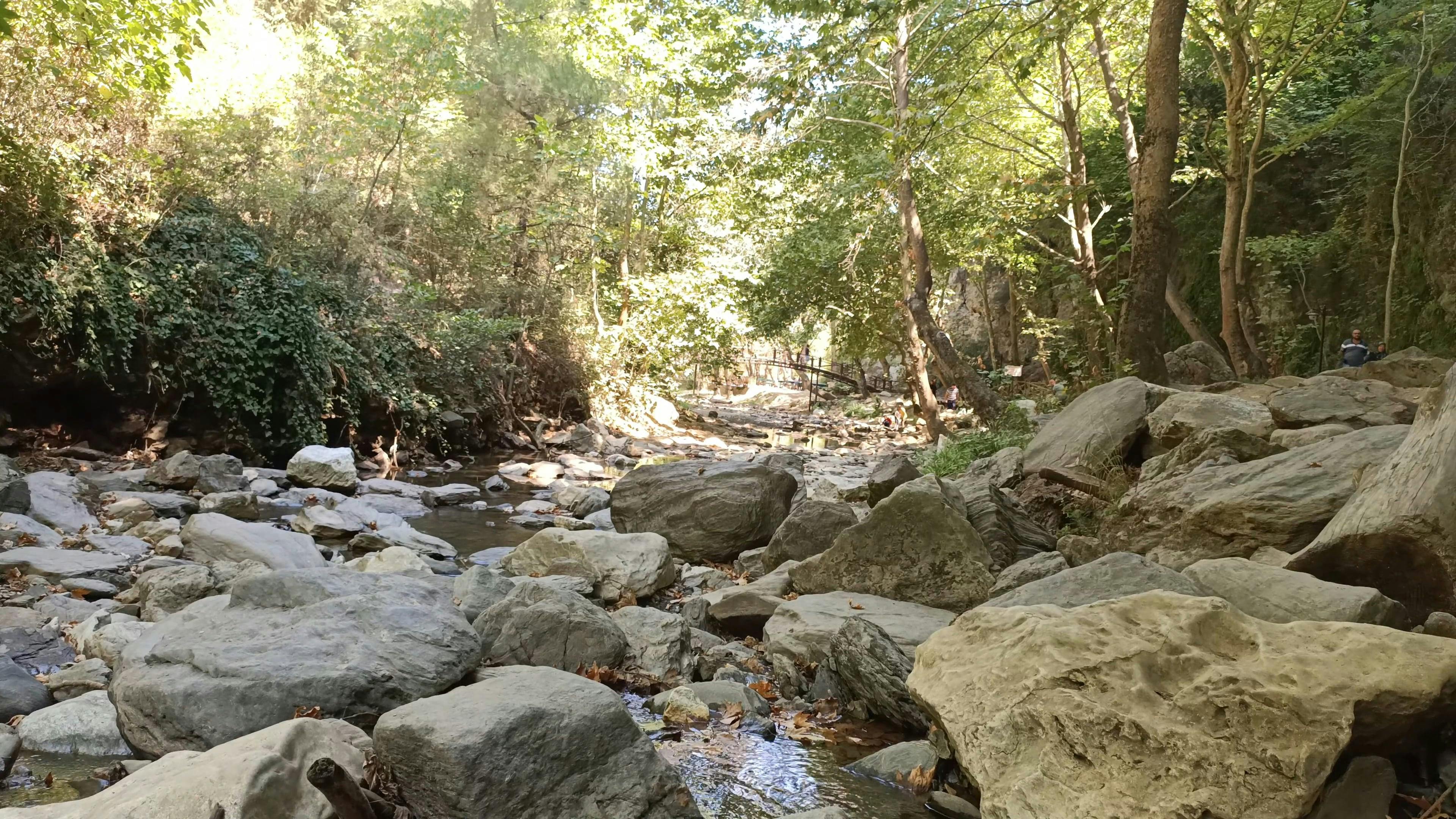 Trickling Water of a Stream · Free Stock Video