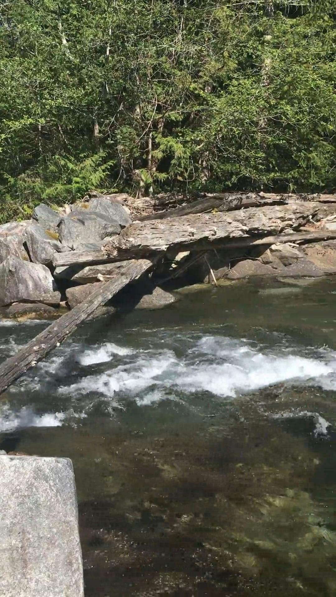 Ann Waring – Fotografia