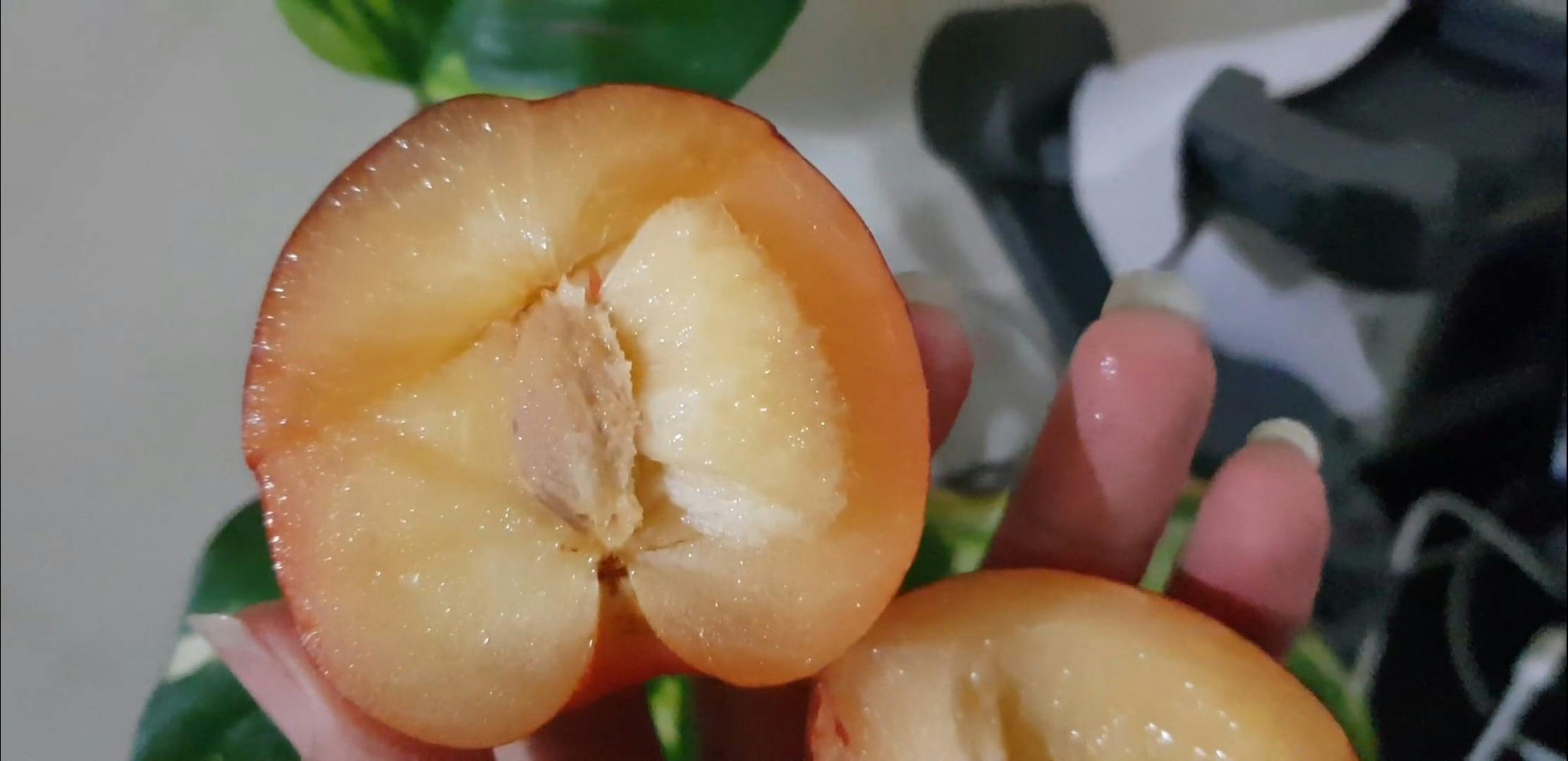 Rainwater Harvesting Pit Videos, Download The BEST Free 4k Stock Video ...