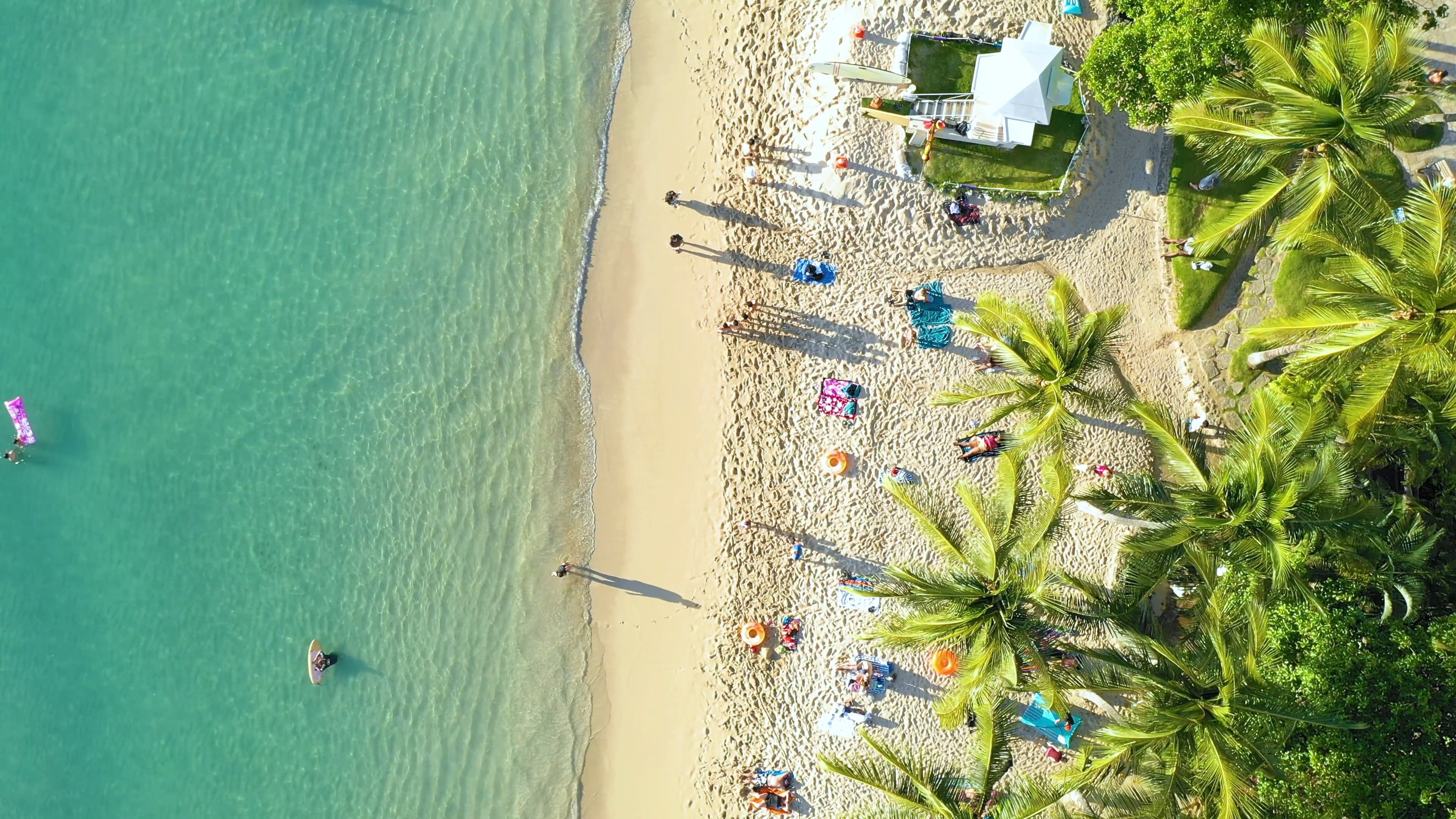Aerial Shot of People on the Seashore · Free Stock Video