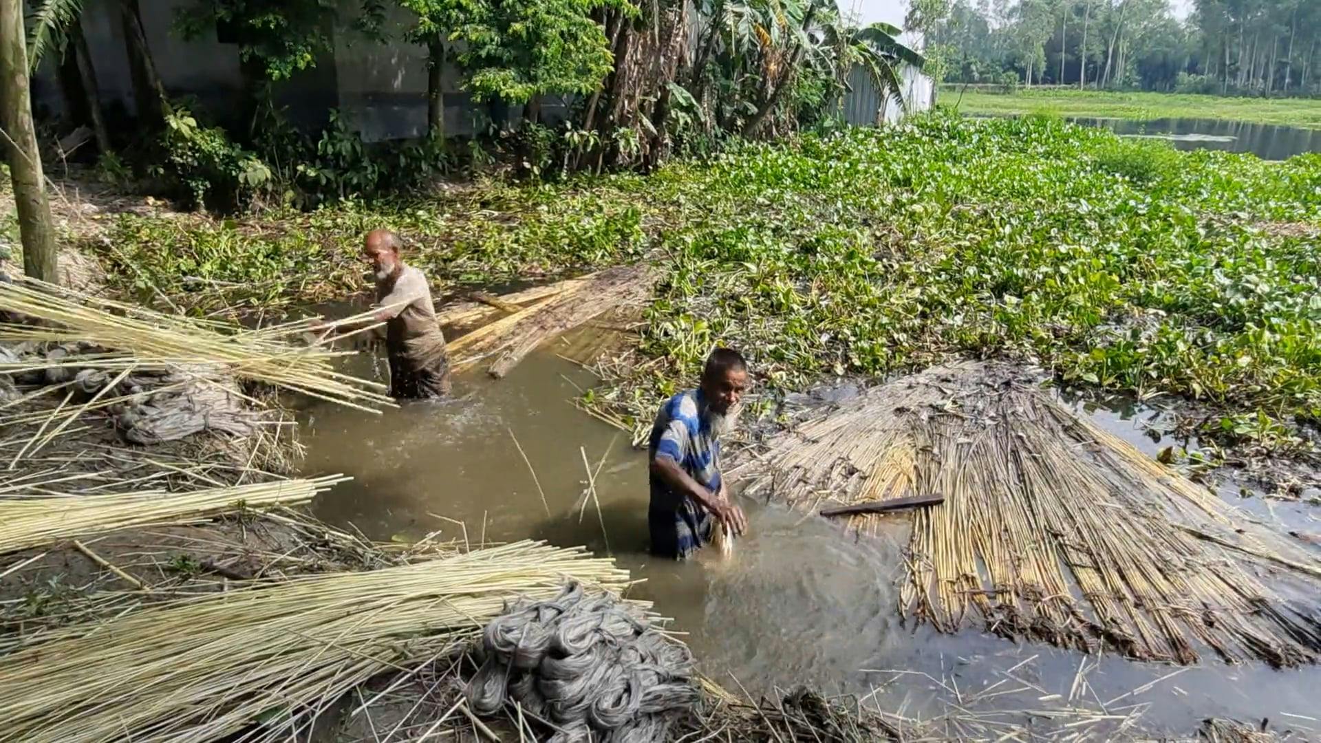 Jute Videos, Download The BEST Free 4k Stock Video Footage & Jute HD ...