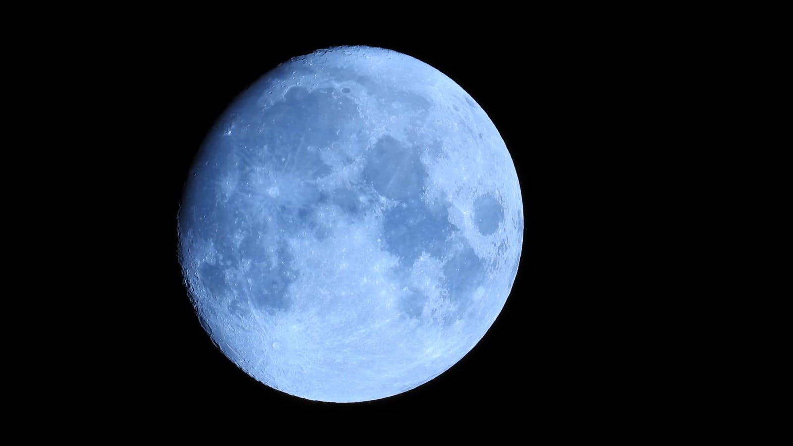 80+ Best Moonlight Videos · 100% Free Download · Pexels Stock Videos