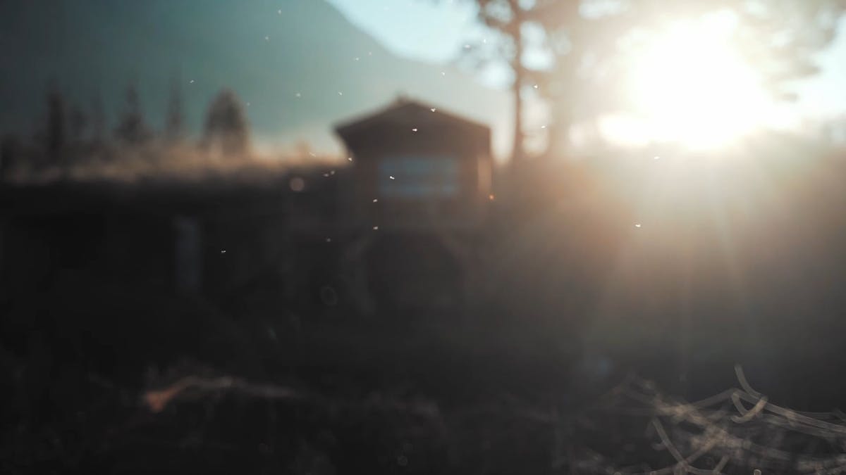 Small Videos, Download The BEST Free 4k Stock Video Footage & Small HD ...