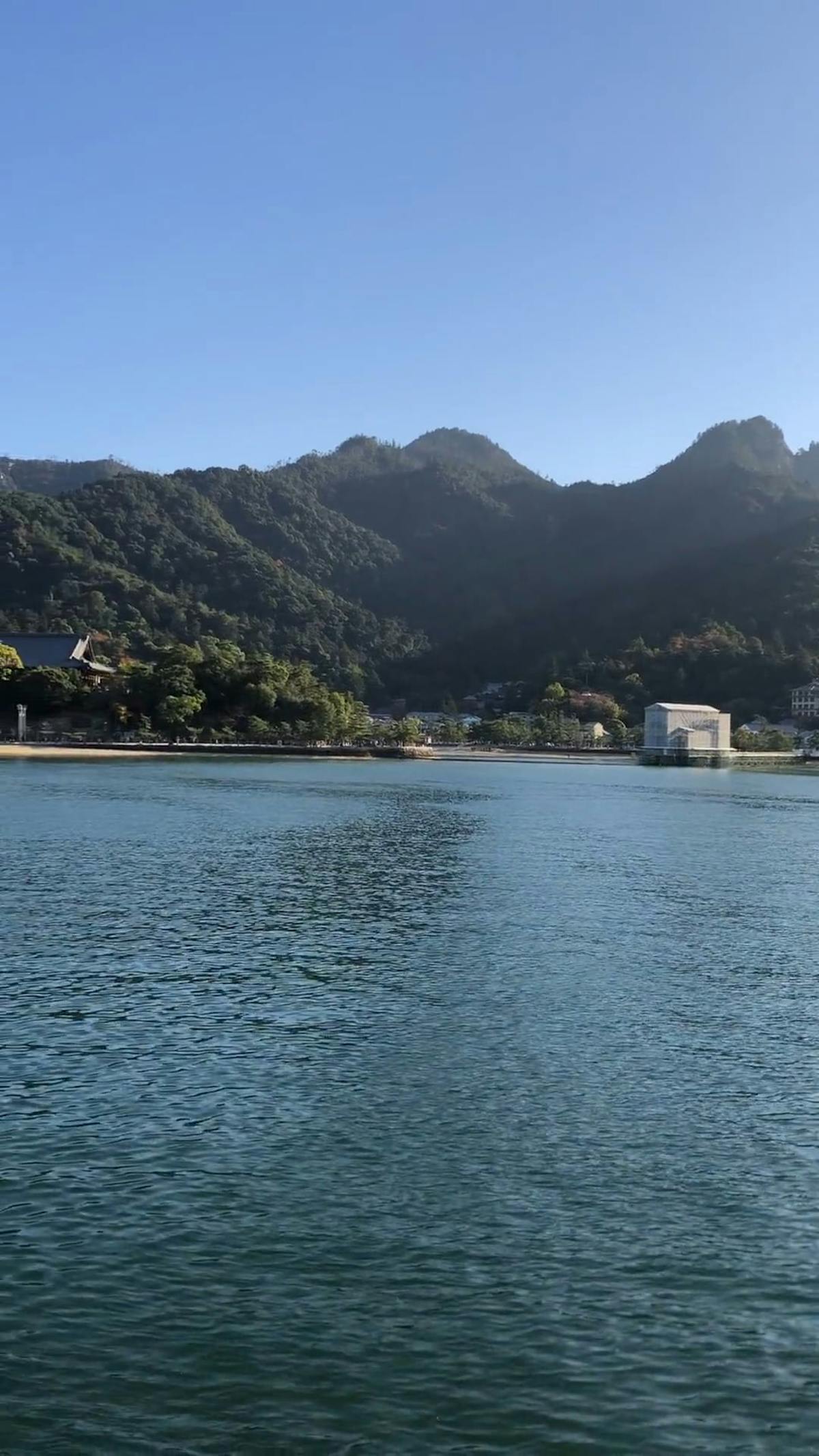 Japan Nature Videos, Download The BEST Free 4k Stock Video Footage ...