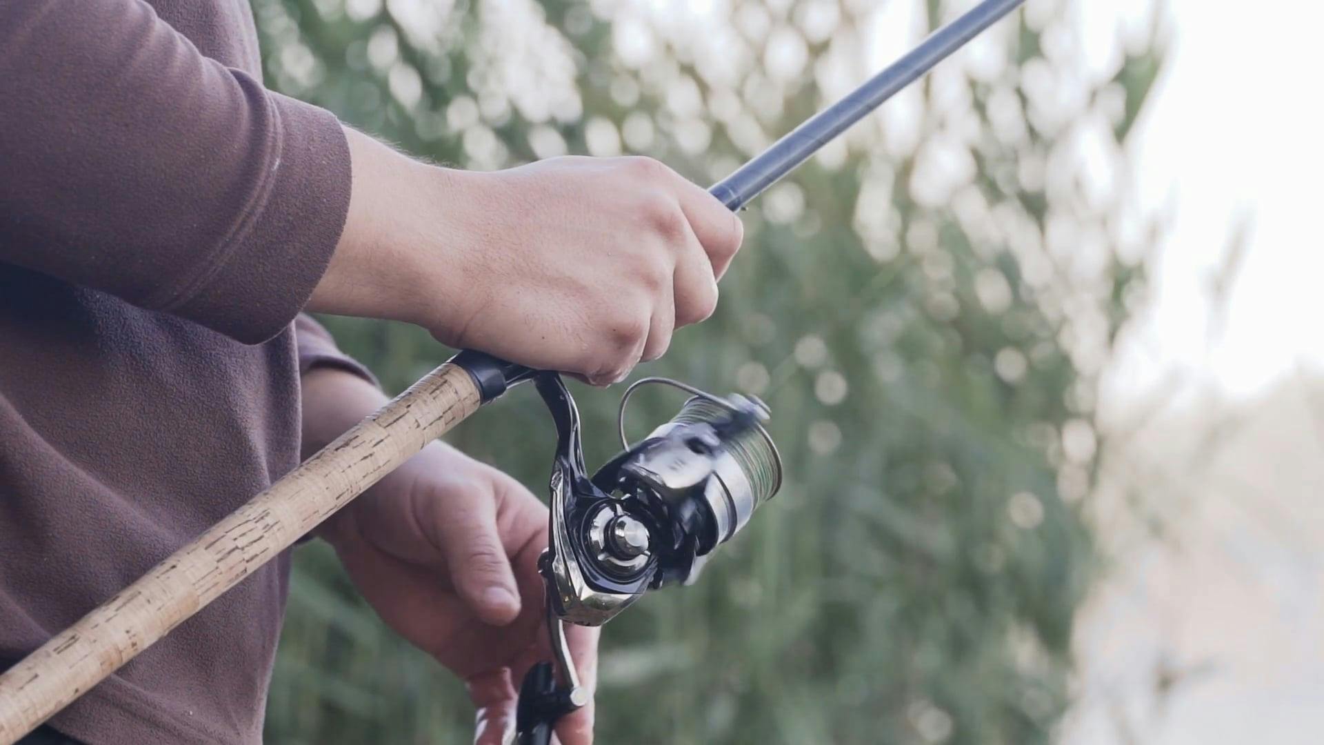 Person using Fishing Rod Free Stock Video Footage, Royalty-Free 4K & HD ...