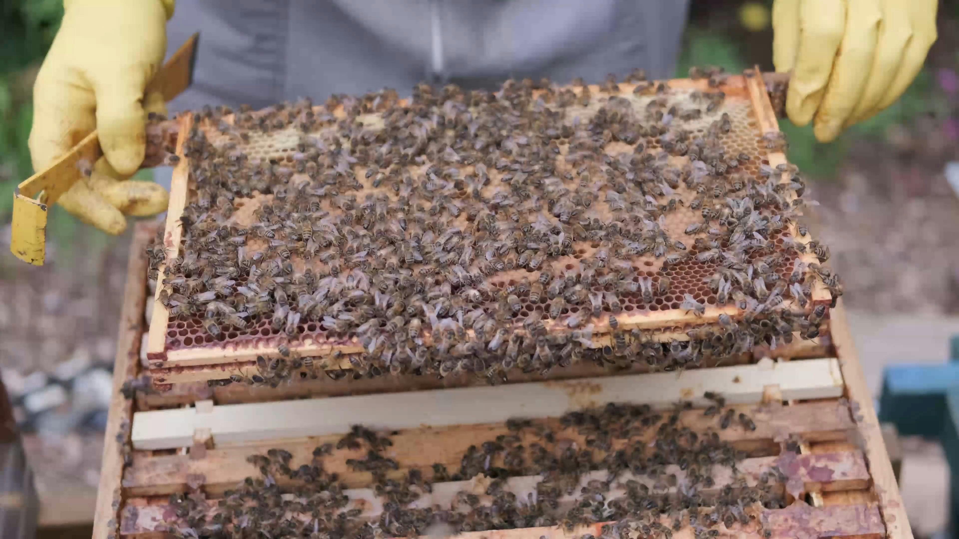 Flying Frames Videos, Download The BEST Free 4k Stock Video Footage & Flying Frames HD Video Clips