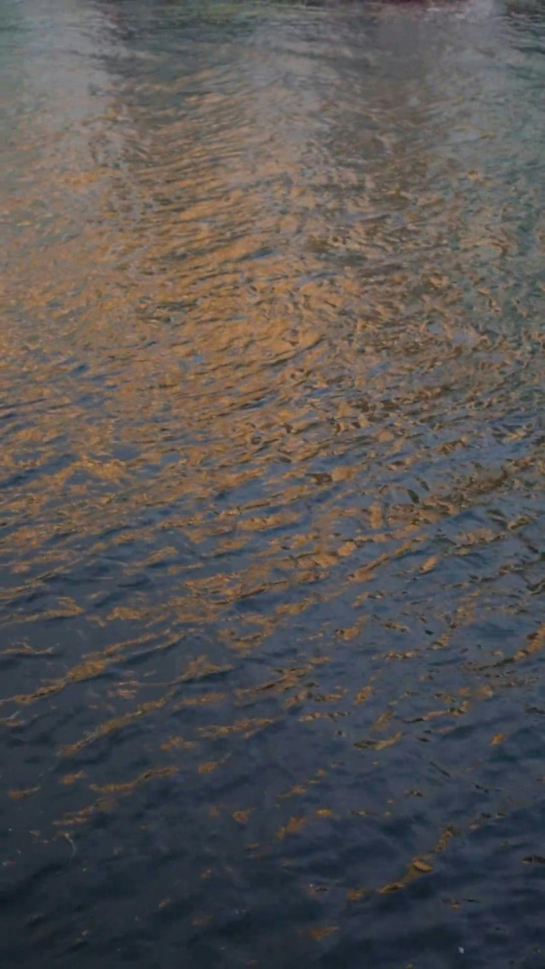Sunlight Reflection Over the Water Surface Free Stock Video Footage ...