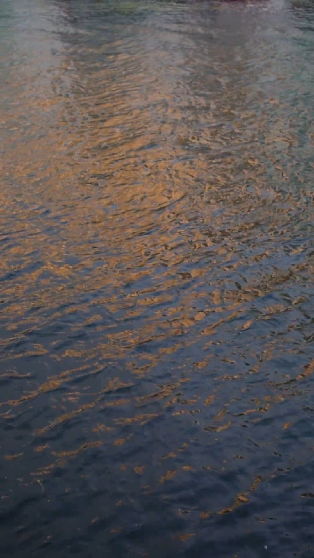 Water Texture Videos, Download The BEST Free 4k Stock Video Footage ...