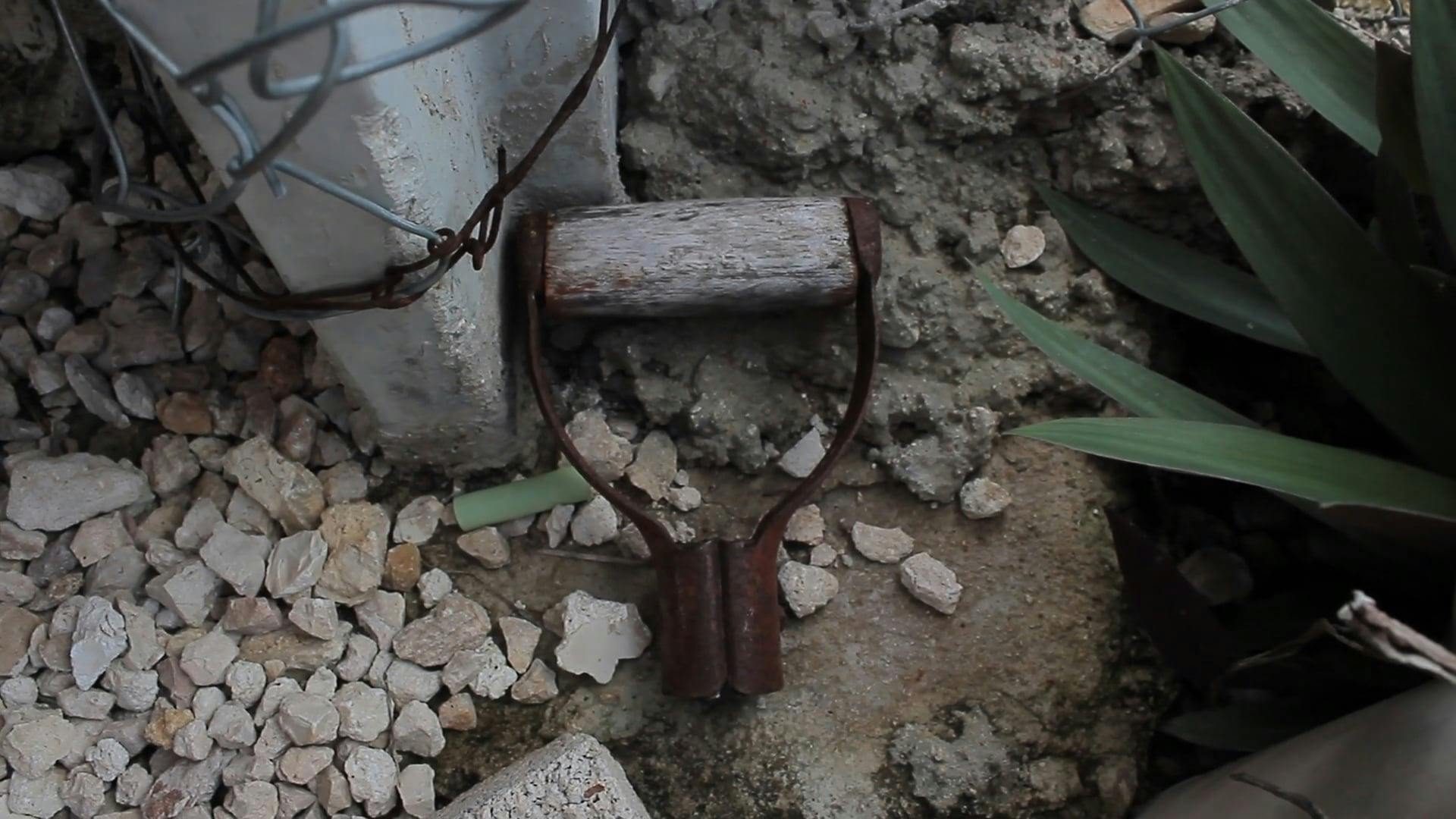 Detail Of Soil Videos, Download The BEST Free 4k Stock Video Footage ...