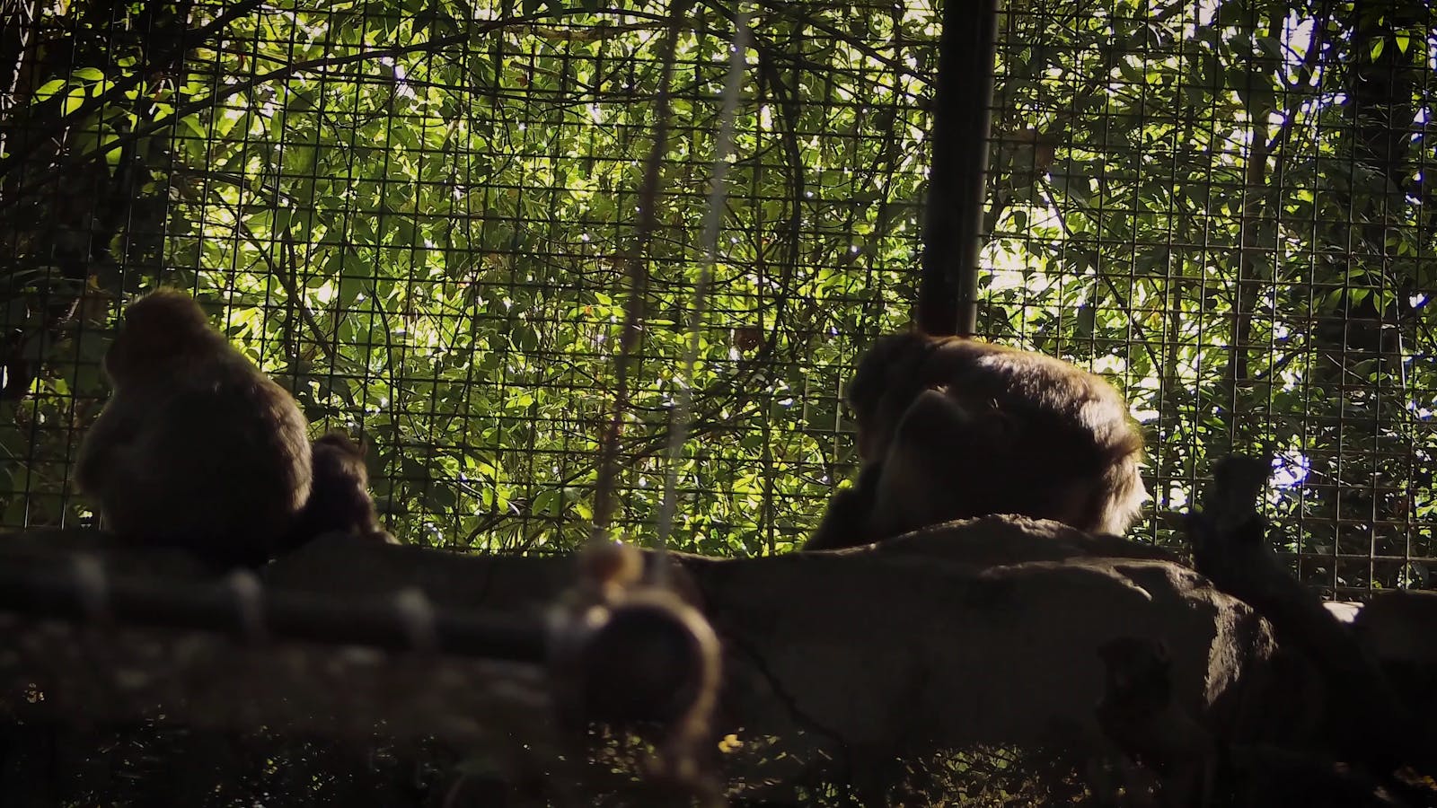 Wire Removal Footage Videos, Download The BEST Free 4k Stock Video ...