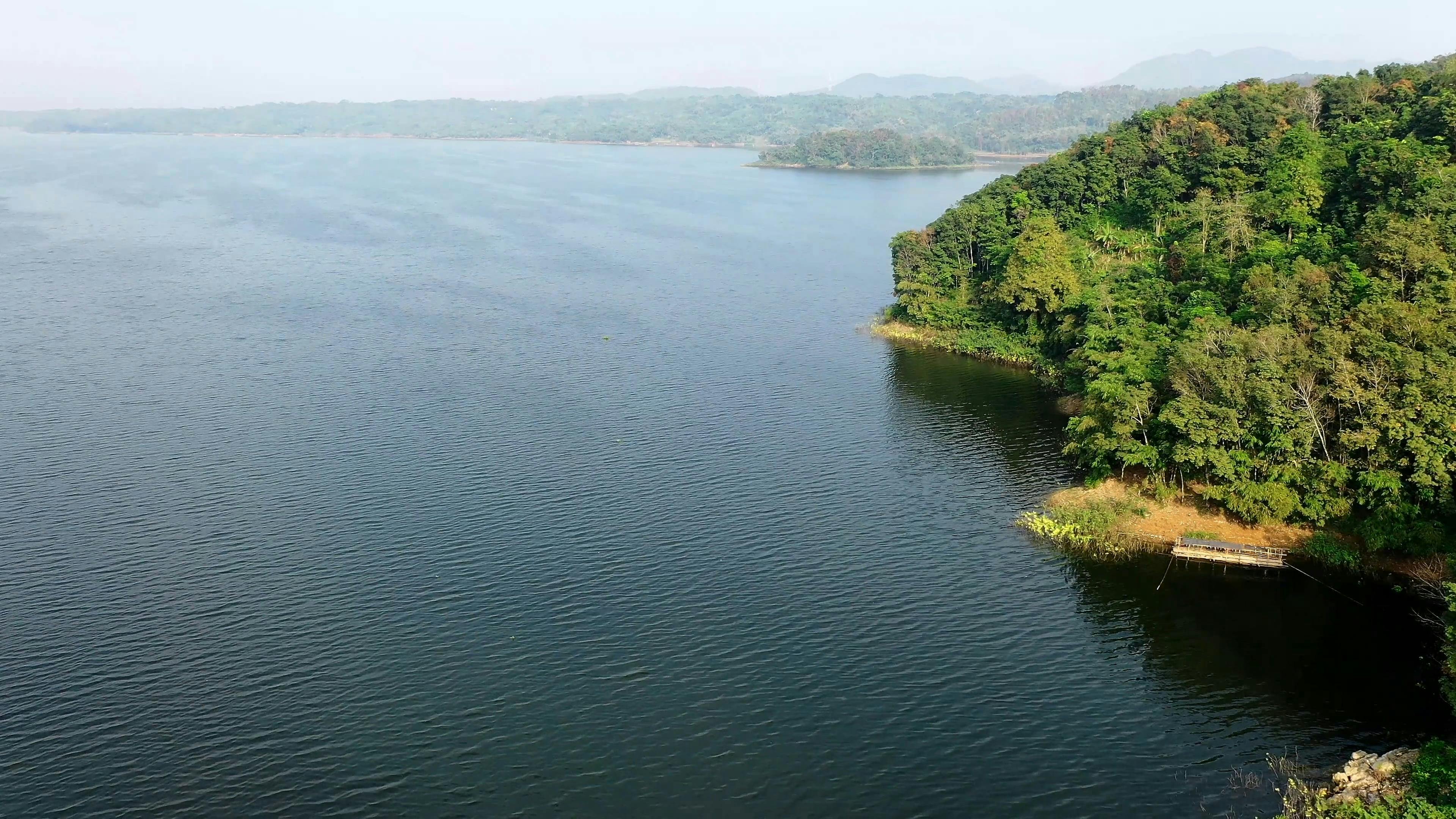 Tree Grow Videos, Download The BEST Free 4k Stock Video Footage & Tree ...