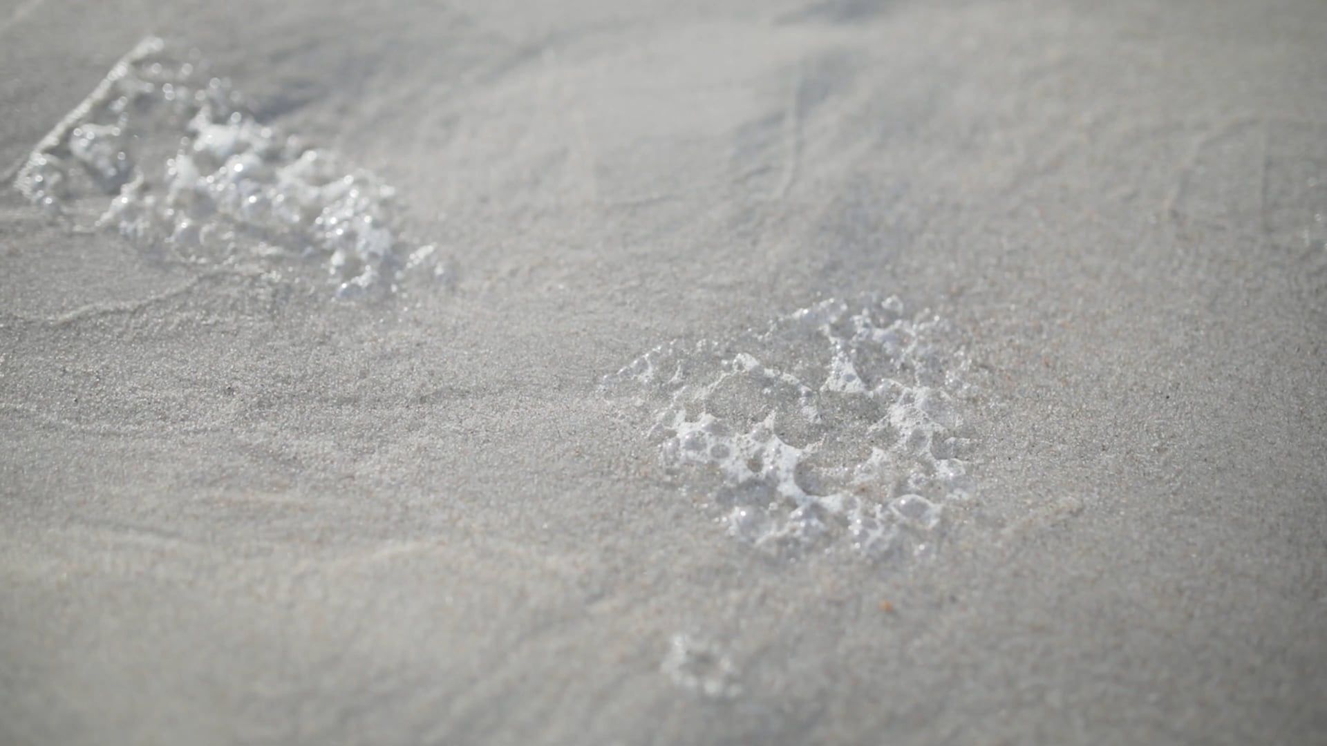 Sand Absorbing Sea Foam Free Stock Video Footage, Royalty-Free 4K & HD ...