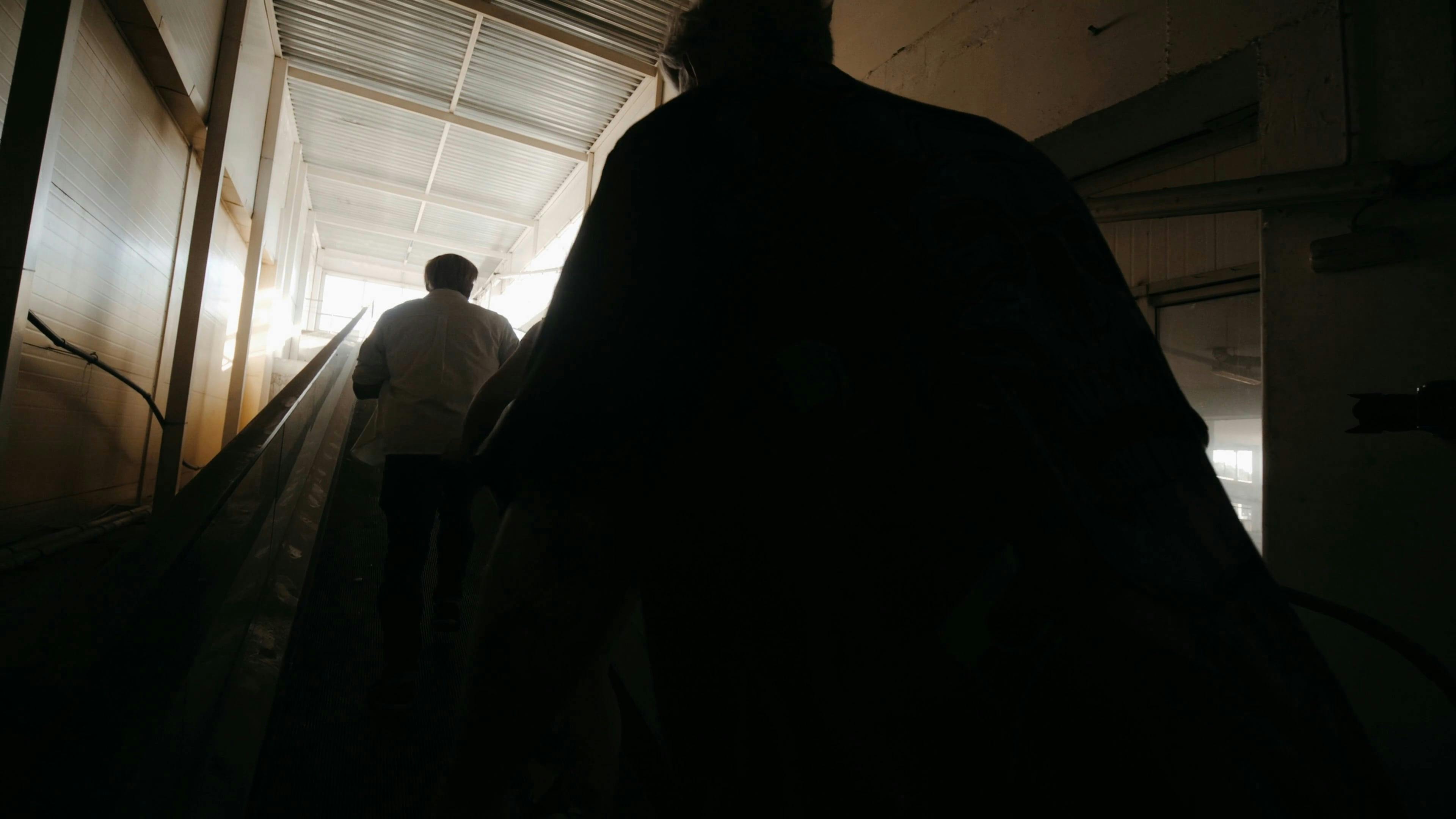 Group In Elevator Videos, Download The BEST Free 4k Stock Video Footage ...