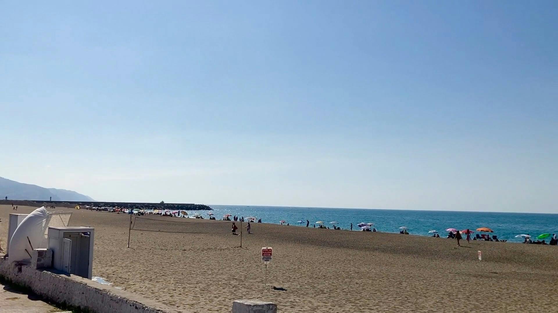 Canopy Beaches Videos, Download The BEST Free 4k Stock Video Footage ...