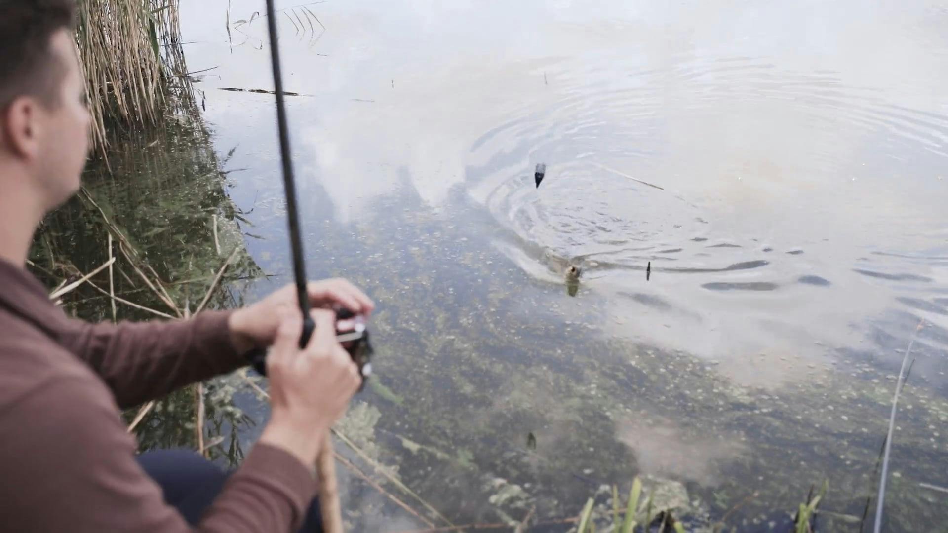 Man Catches a Fish Free Stock Video Footage, Royalty-Free 4K & HD Video ...