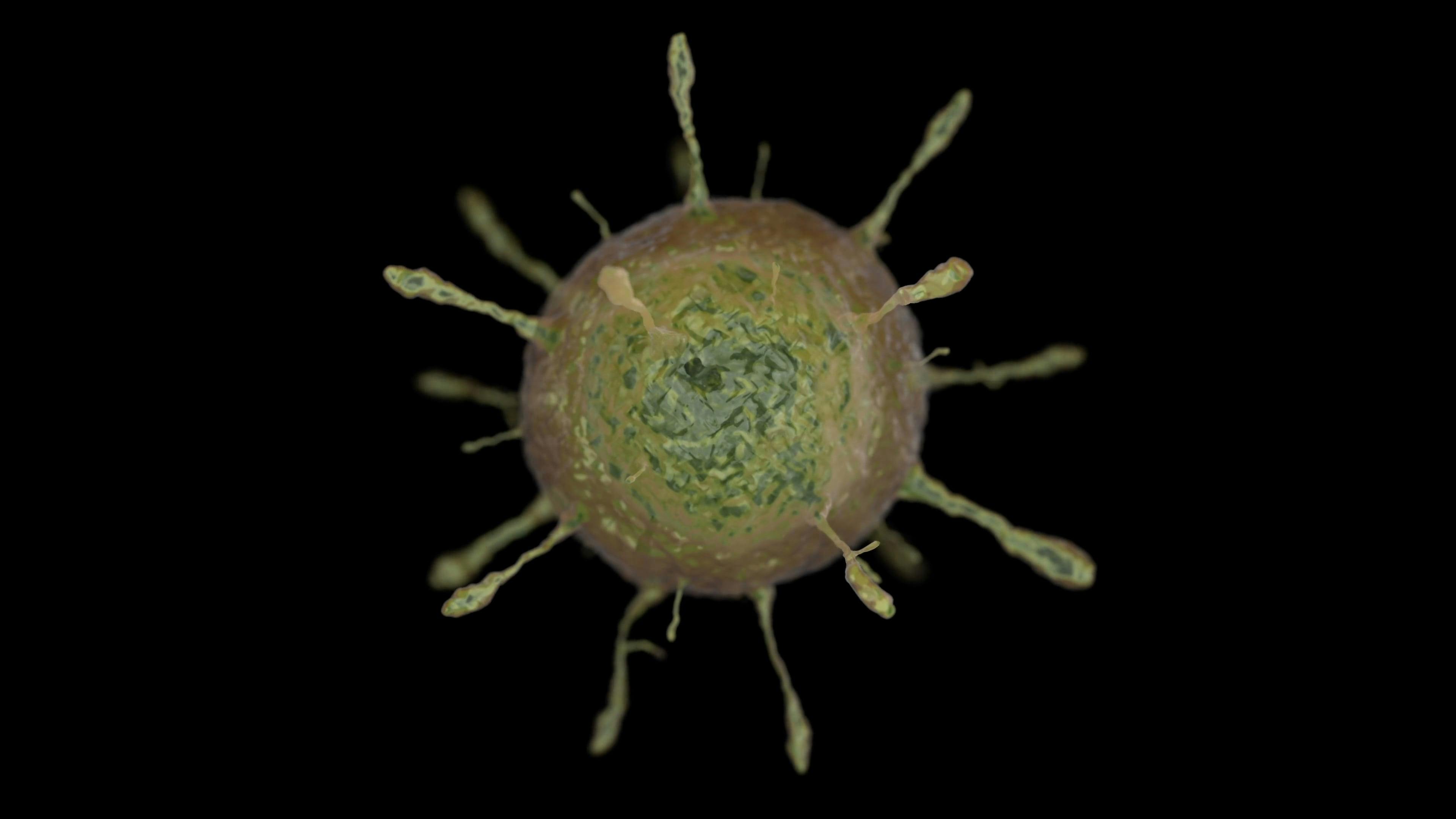 An Illustration of a Virus · Free Stock Video