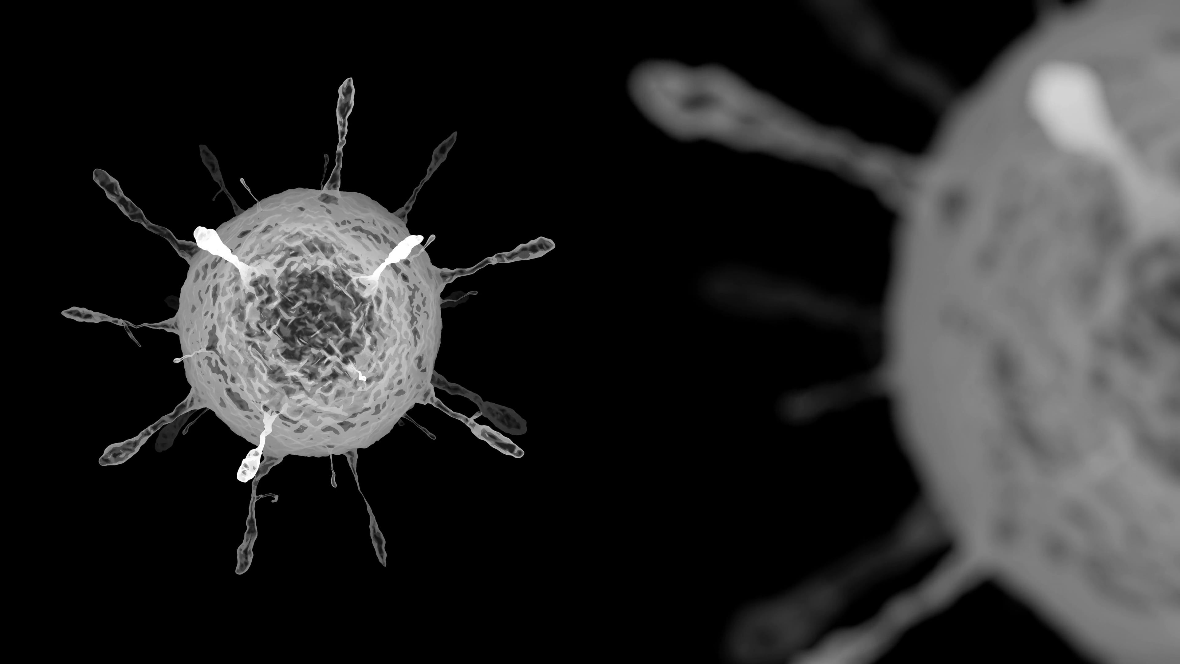 An Illustration of a Virus · Free Stock Video