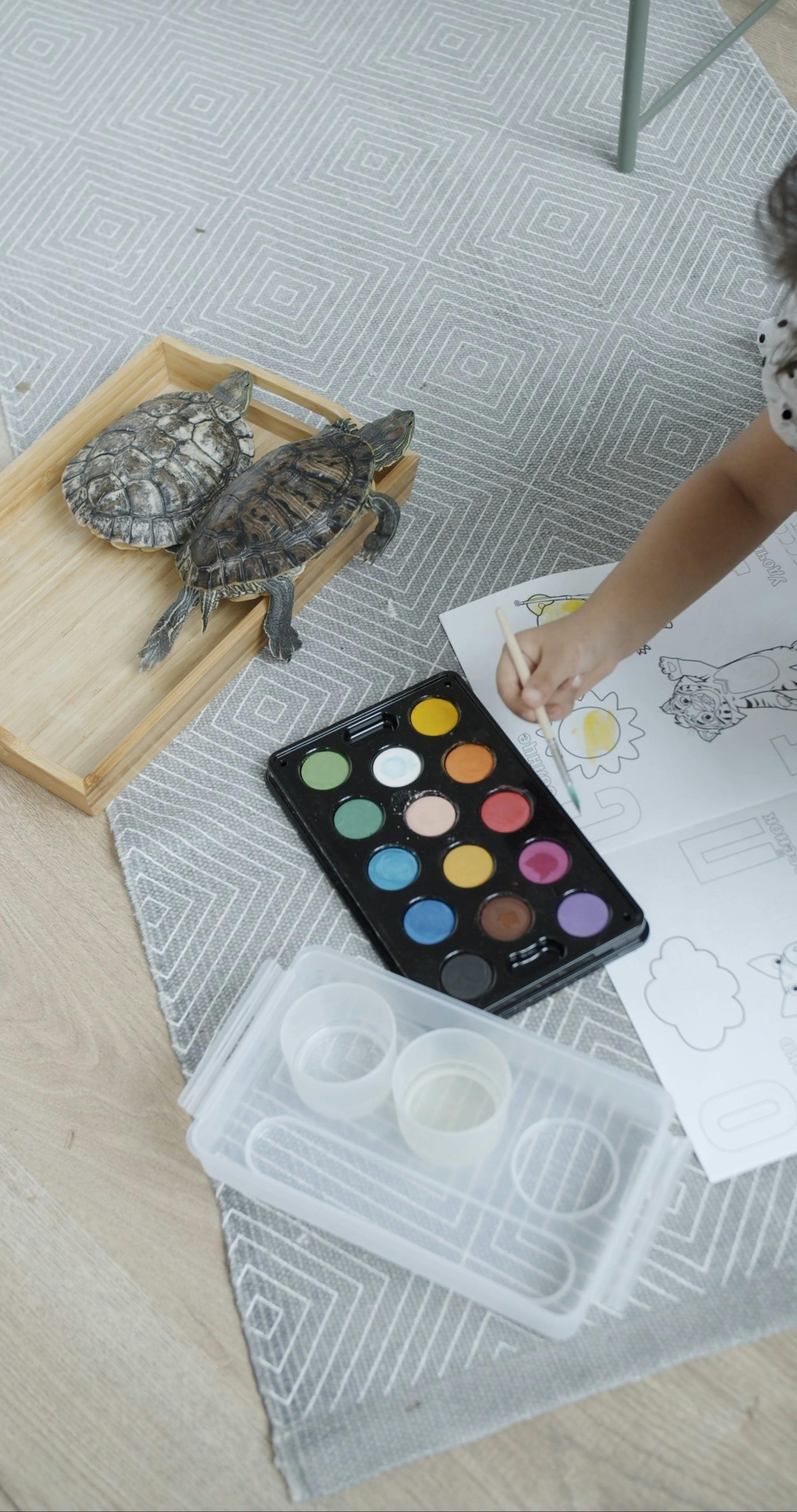 Mats Coloring Videos, Download The BEST Free 4k Stock Video Footage ...